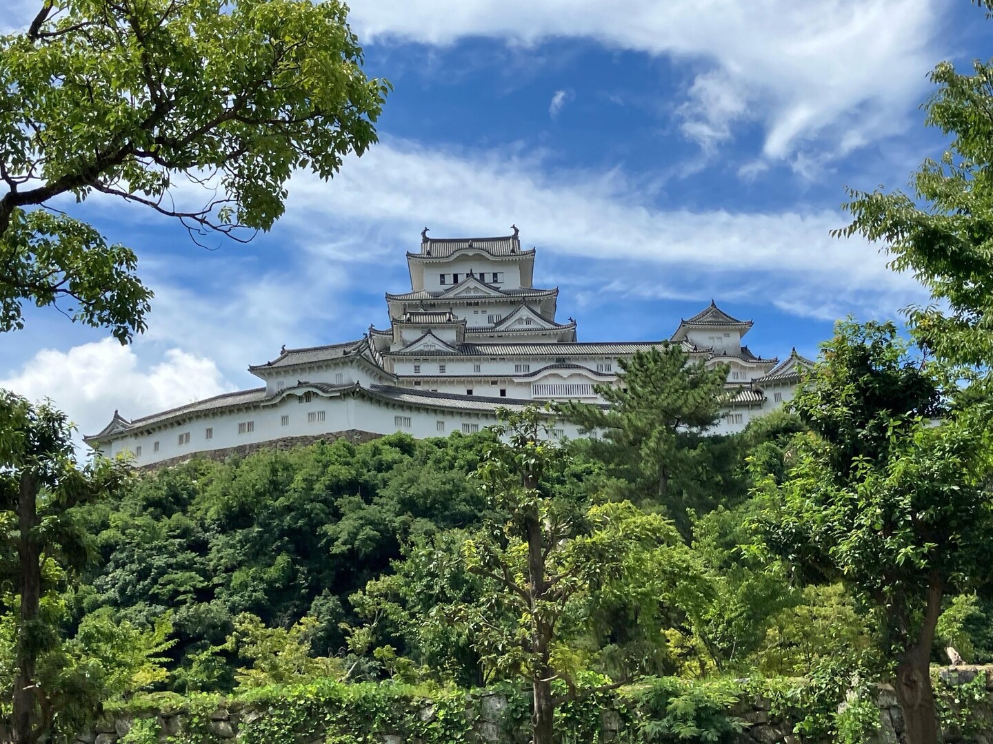 八代山・八丈岩山・名古山 / AKiさんの姫路市の活動データ | YAMAP / ヤマップ