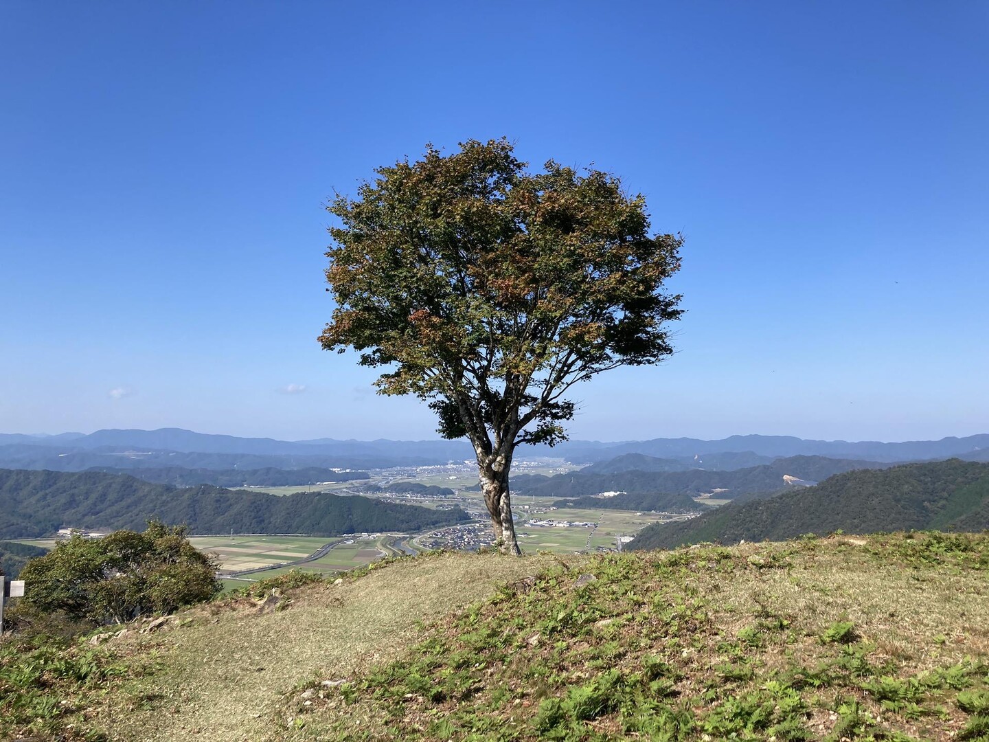 有子山城跡 / kohtaさんの城山・有子山城跡の活動データ | YAMAP / ヤマップ