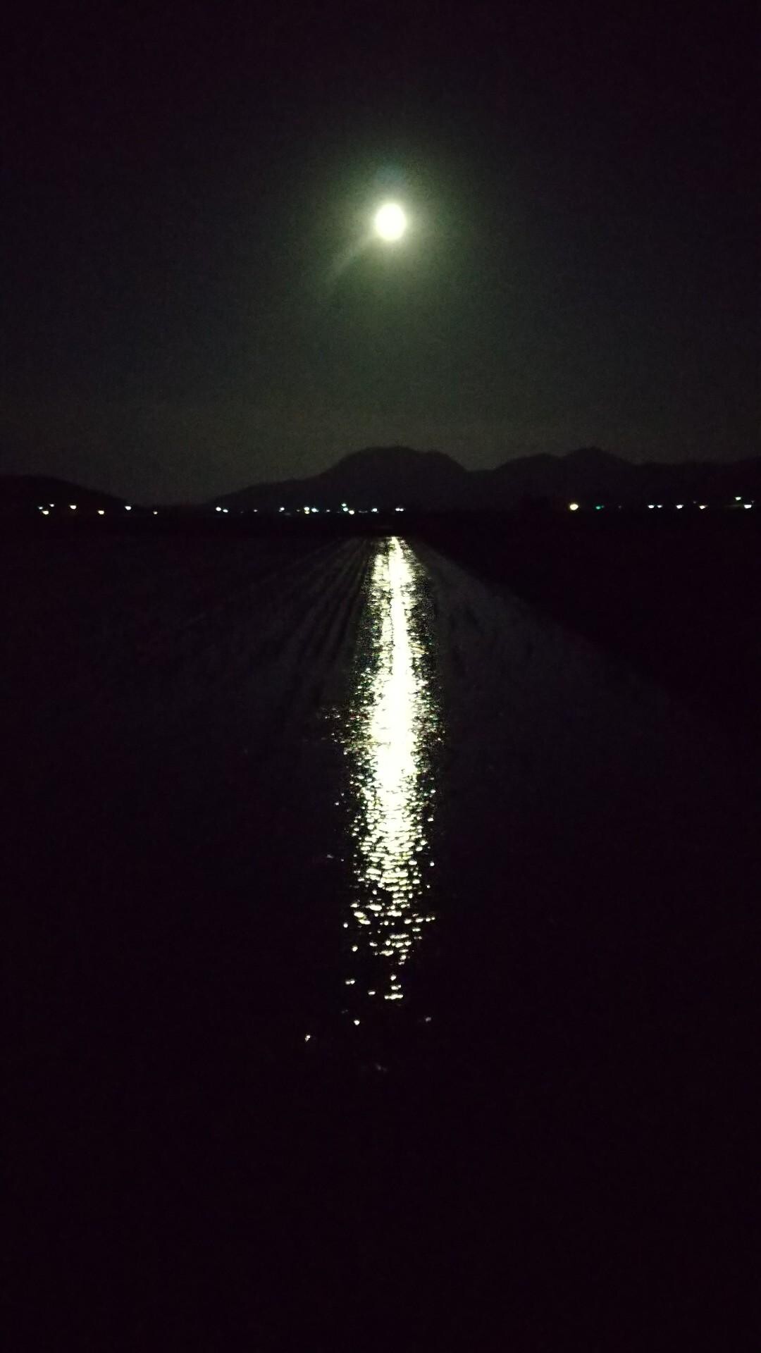 弥彦山 / 15さんの弥彦山・多宝山・雨乞山の活動日記 | YAMAP / ヤマップ