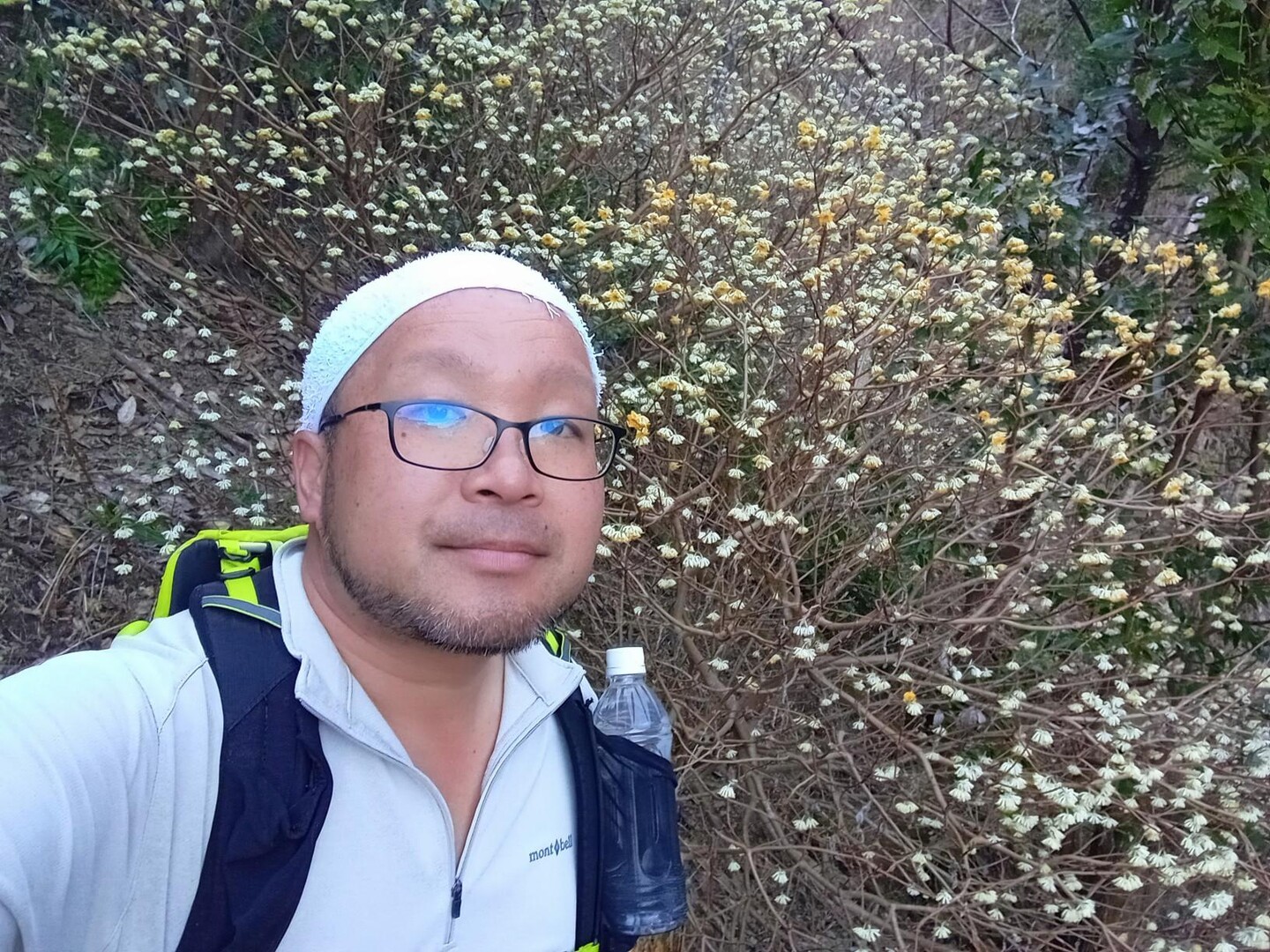 【高塚山】西都市のミツマタ群生地へ / やまちゃんさんの高塚山の活動データ | YAMAP / ヤマップ