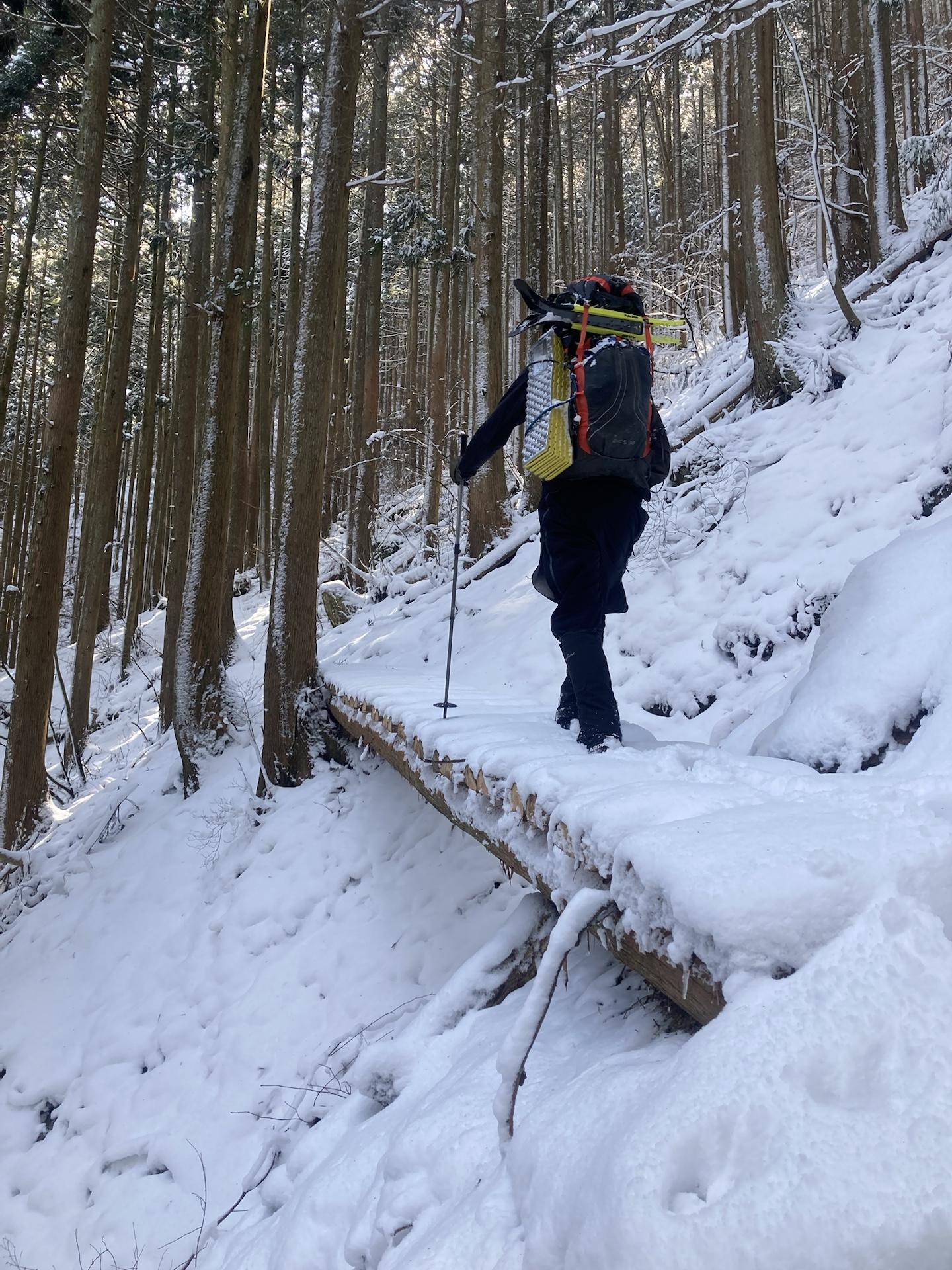 東之川から瓶ヶ森へ / youさんの瓶ヶ森・伊予富士の活動データ | YAMAP / ヤマップ