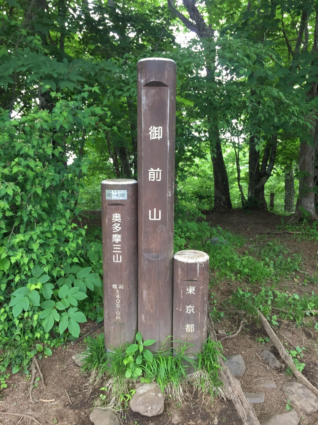 御前山 / こうたろうさんの大岳山・御岳山・御前山の活動データ | YAMAP / ヤマップ