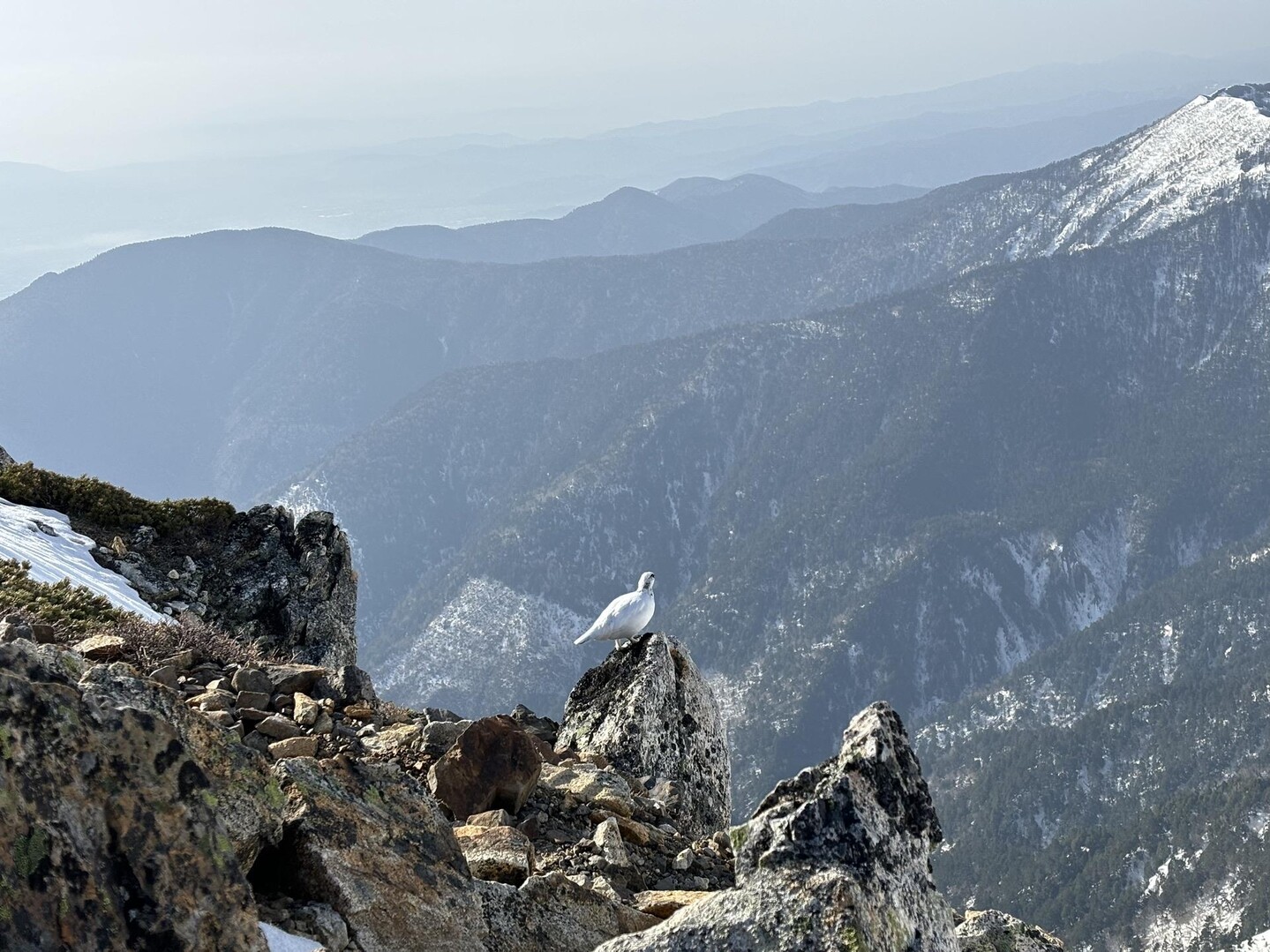 【テント泊】須砂渡ゲート→常念岳東尾根→前常念岳→常念岳→須砂渡ゲート【冬季バリエーションルート】 / nanami.mitsuboshiさんの常念岳・大天井岳・燕岳の活動データ ...