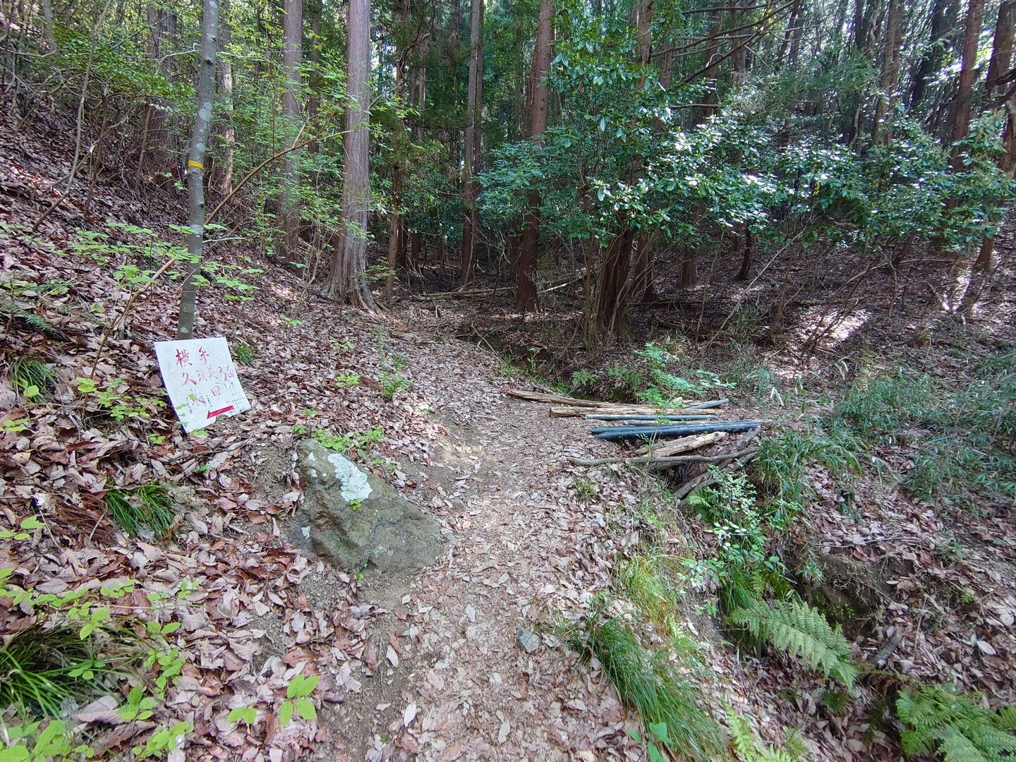 TKYMさんの投稿したフィールドメモ | YAMAP / ヤマップ