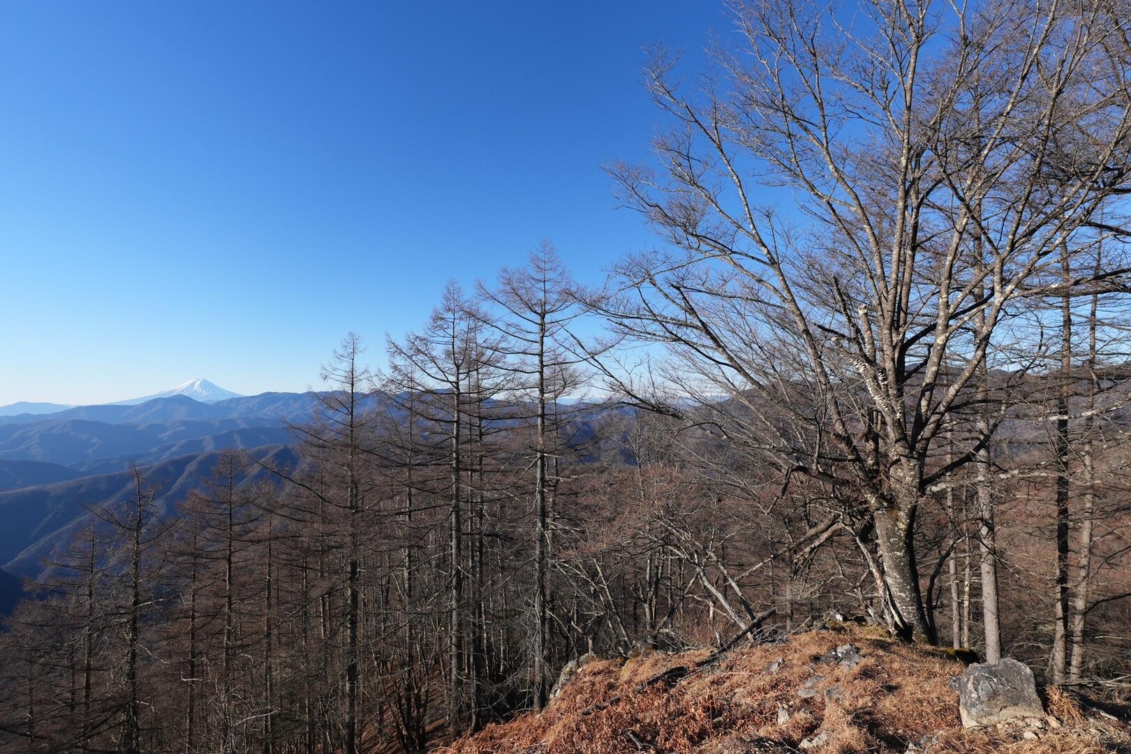 七ツ石山・ヨモギノ頭・小雲取山・雲取山 / tjさんの雲取山・鷹ノ巣山・七ツ石山の活動データ | YAMAP / ヤマップ