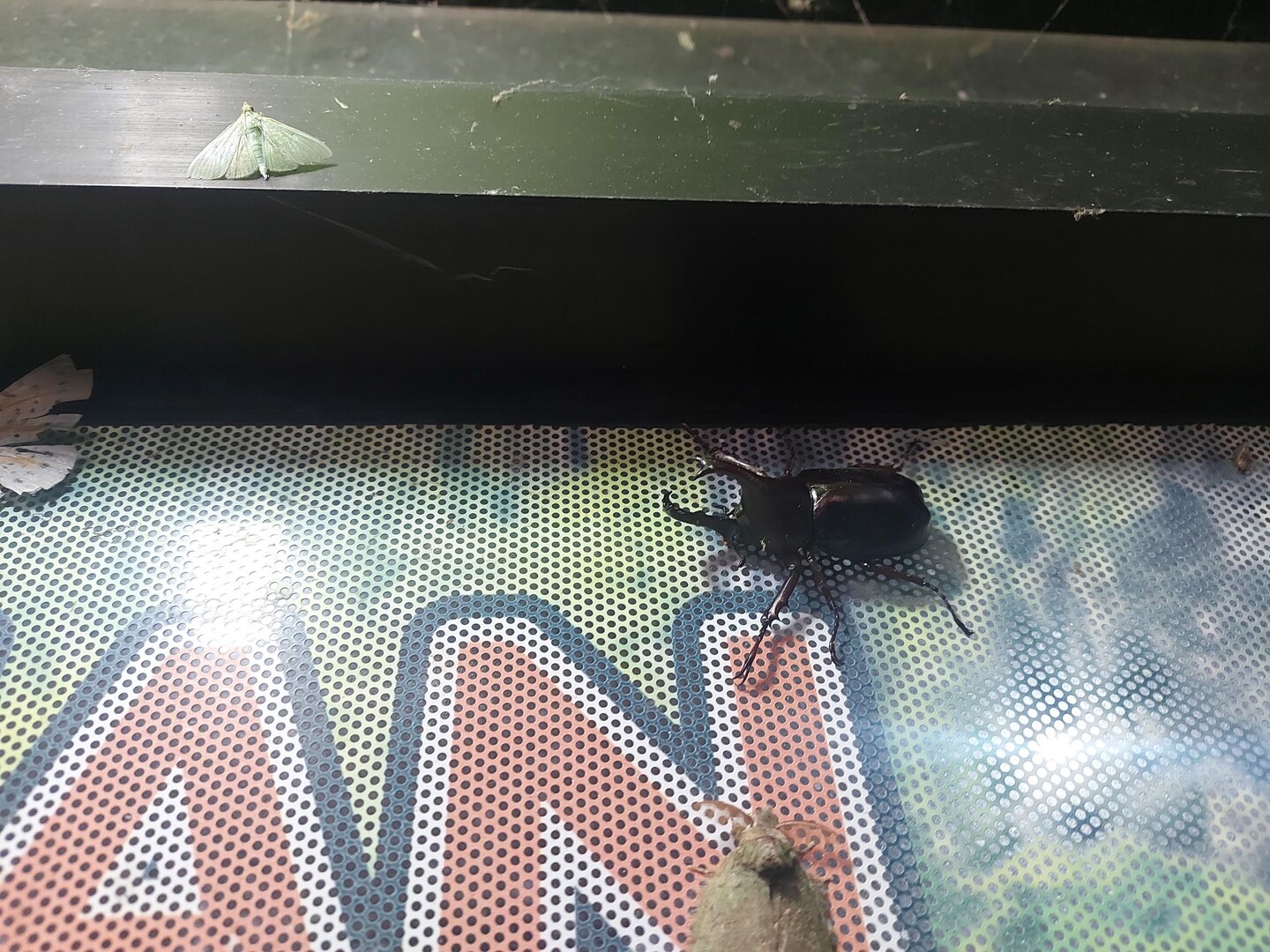 サラーク1 / OMUさんのサラーク山の活動データ | YAMAP / ヤマップ