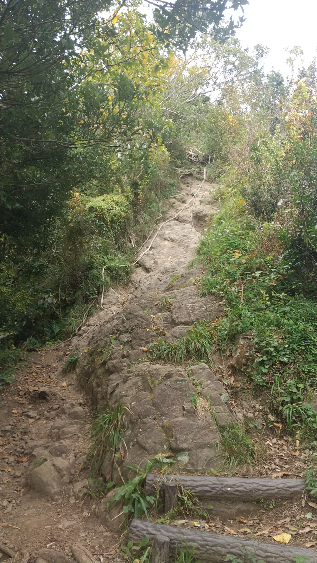 nachaさんの投稿したフィールドメモ | YAMAP / ヤマップ