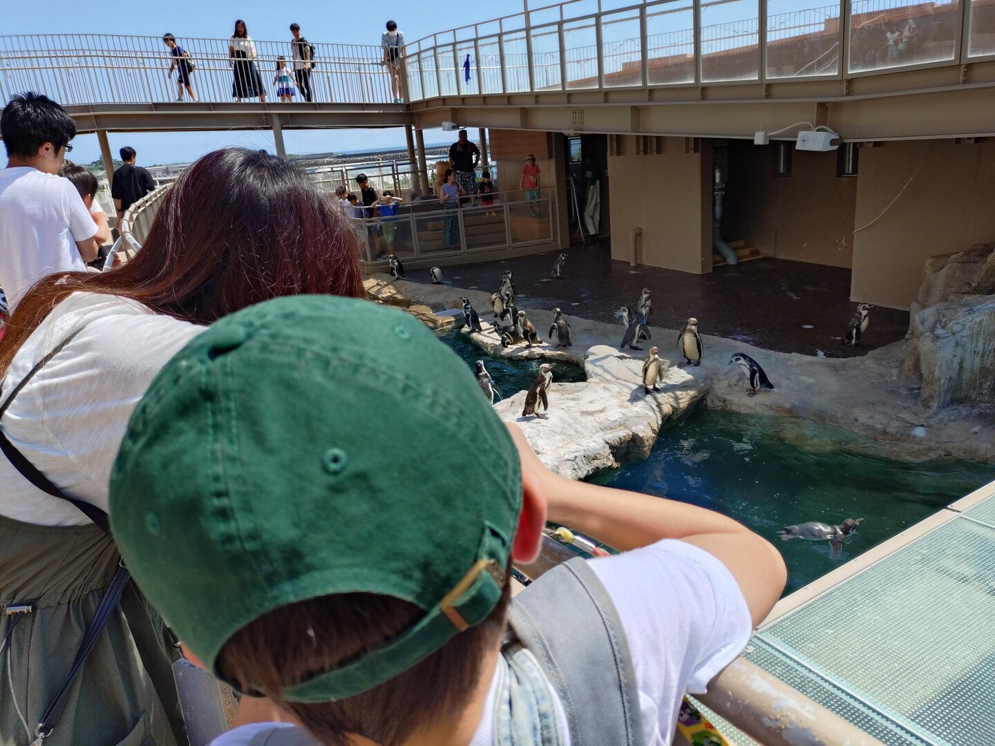 5年ぶりのアクアワールド大洗 那珂湊で... / KUMIさんのモーメント | YAMAP / ヤマップ