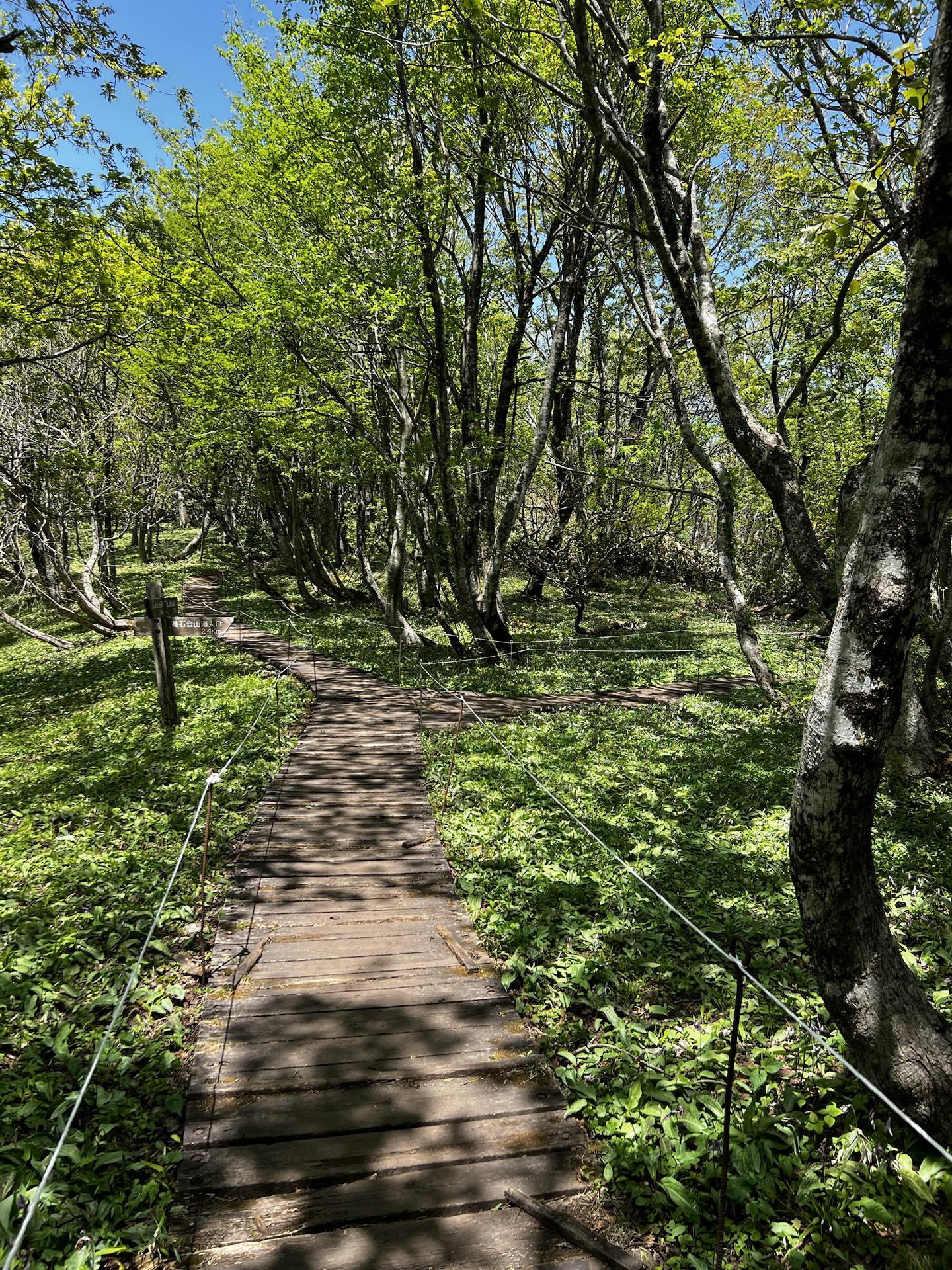 船通山 / mocoさんの船通山・玉峰山の活動データ | YAMAP / ヤマップ