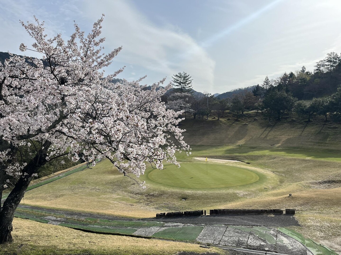 春ですね〜 / JUNさんのモーメント | YAMAP / ヤマップ