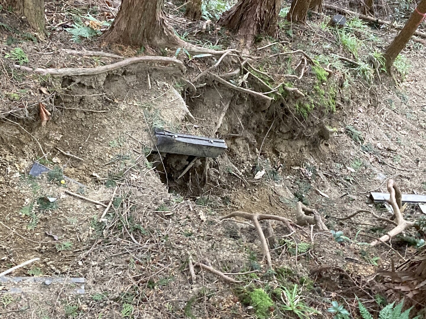 kazz309さんの投稿したフィールドメモ | YAMAP / ヤマップ