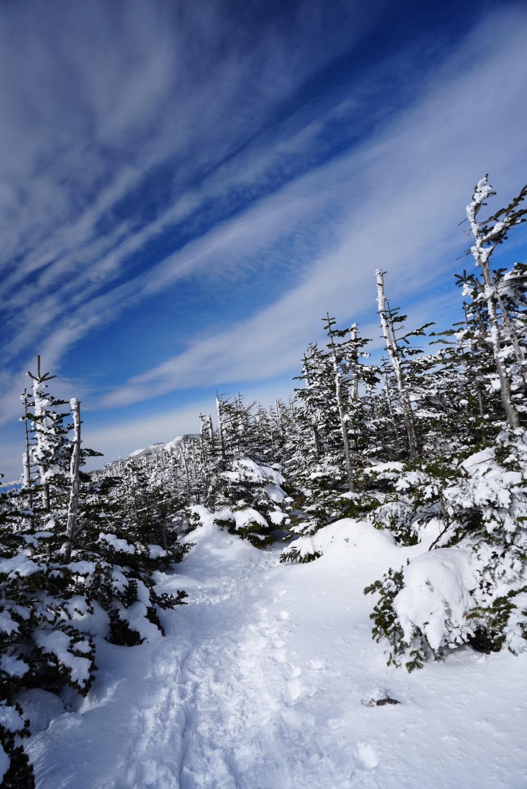 縞枯山 / HARUさんの蓼科山・横岳・縞枯山の活動データ | YAMAP / ヤマップ