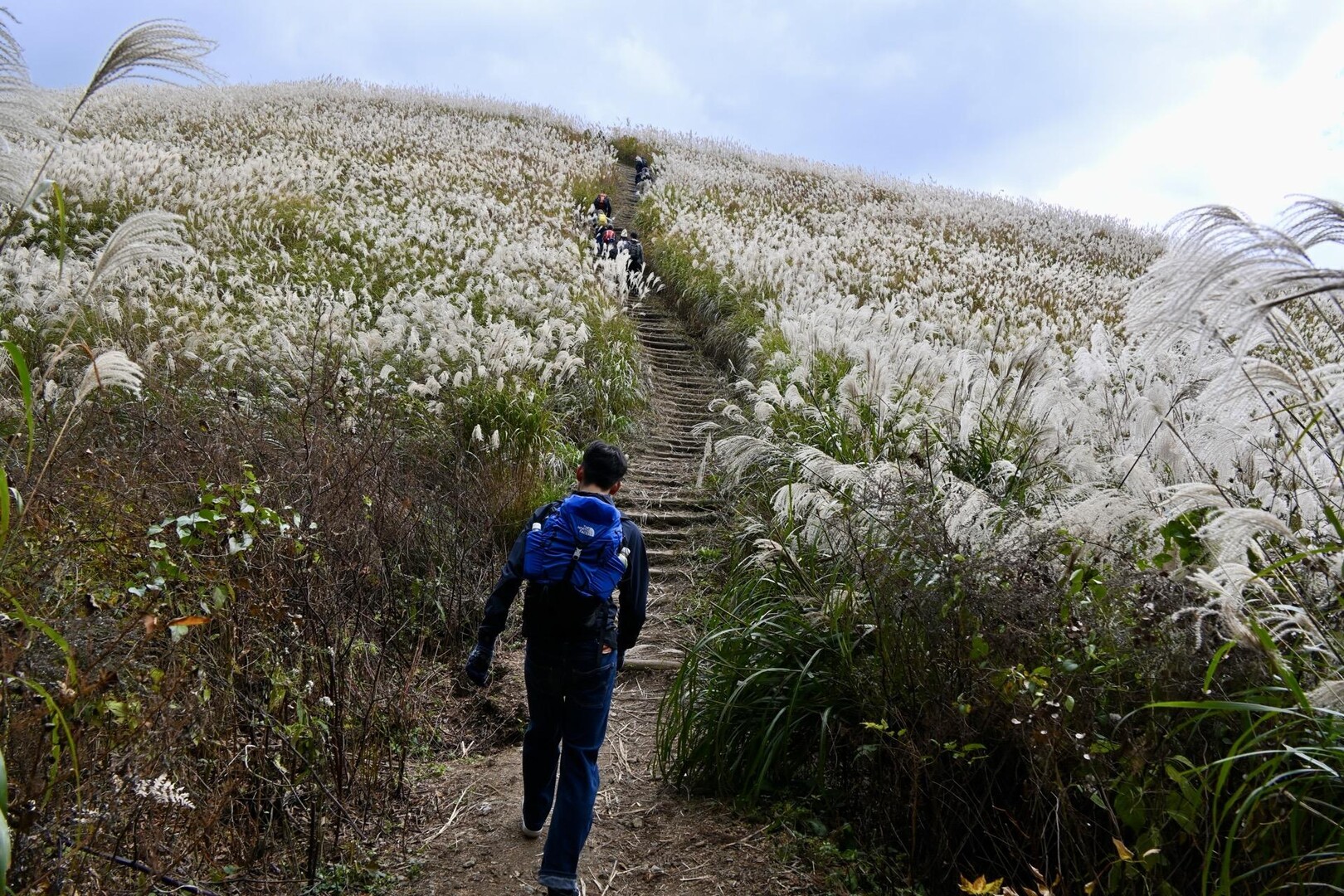 岩湧山・東峰・経塚山 / hikaさんの葛城修験エリアマップ（友ヶ島～和泉山脈周辺）の活動データ | YAMAP / ヤマップ