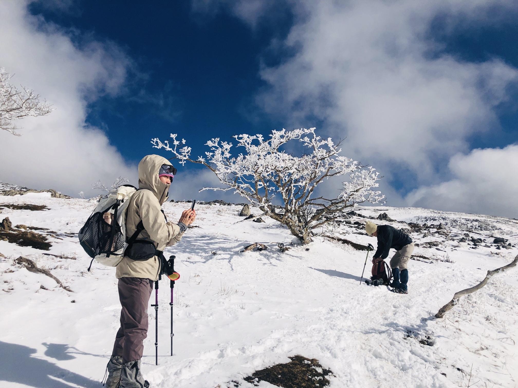 霊仙山・経塚山 / seclubさんの霊仙山の活動データ | YAMAP / ヤマップ