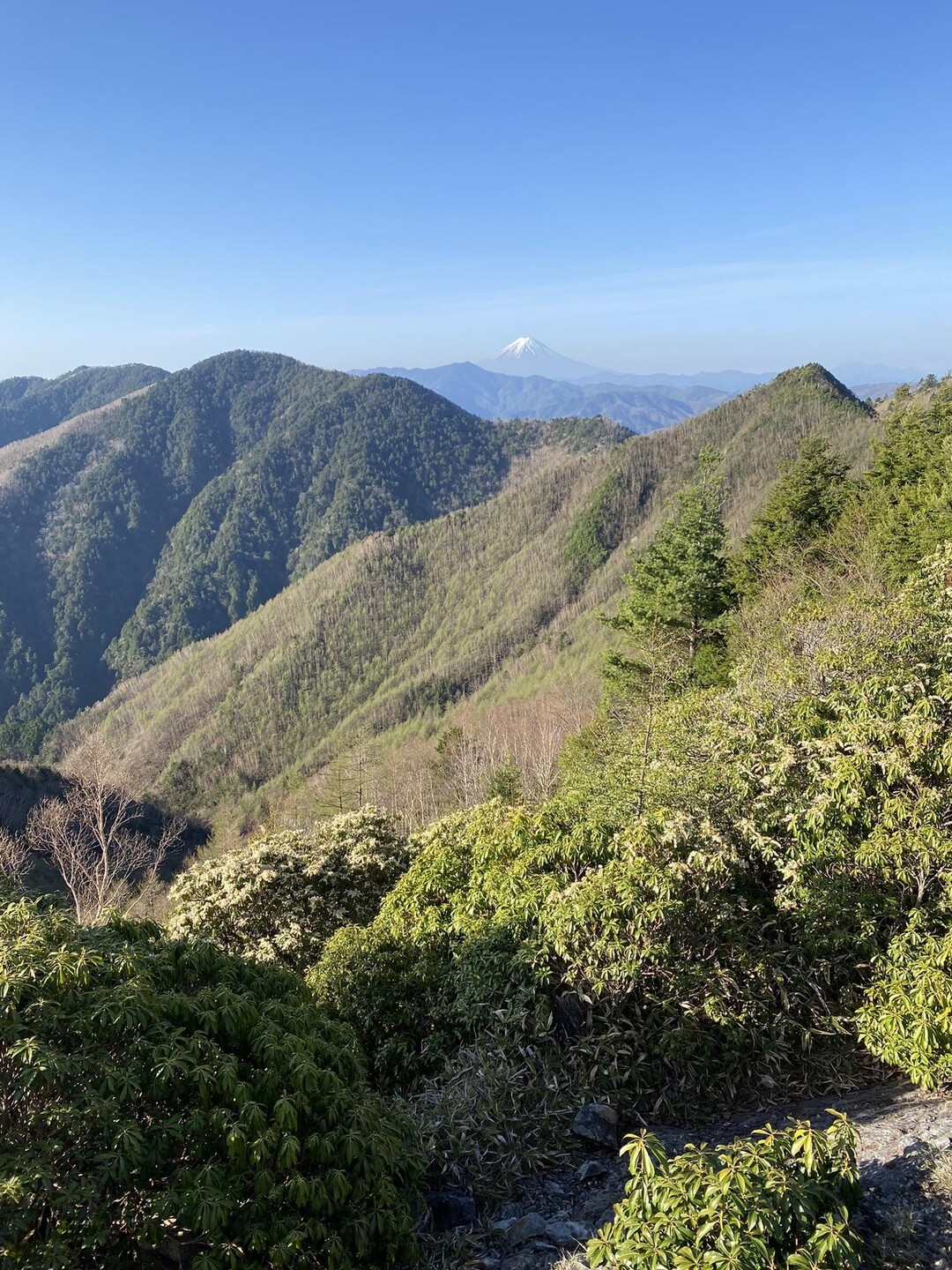 雲取山･飛龍山•和名倉山テント縦走 / akko0502さんの和名倉山・笠取山・東仙波の活動データ | YAMAP / ヤマップ