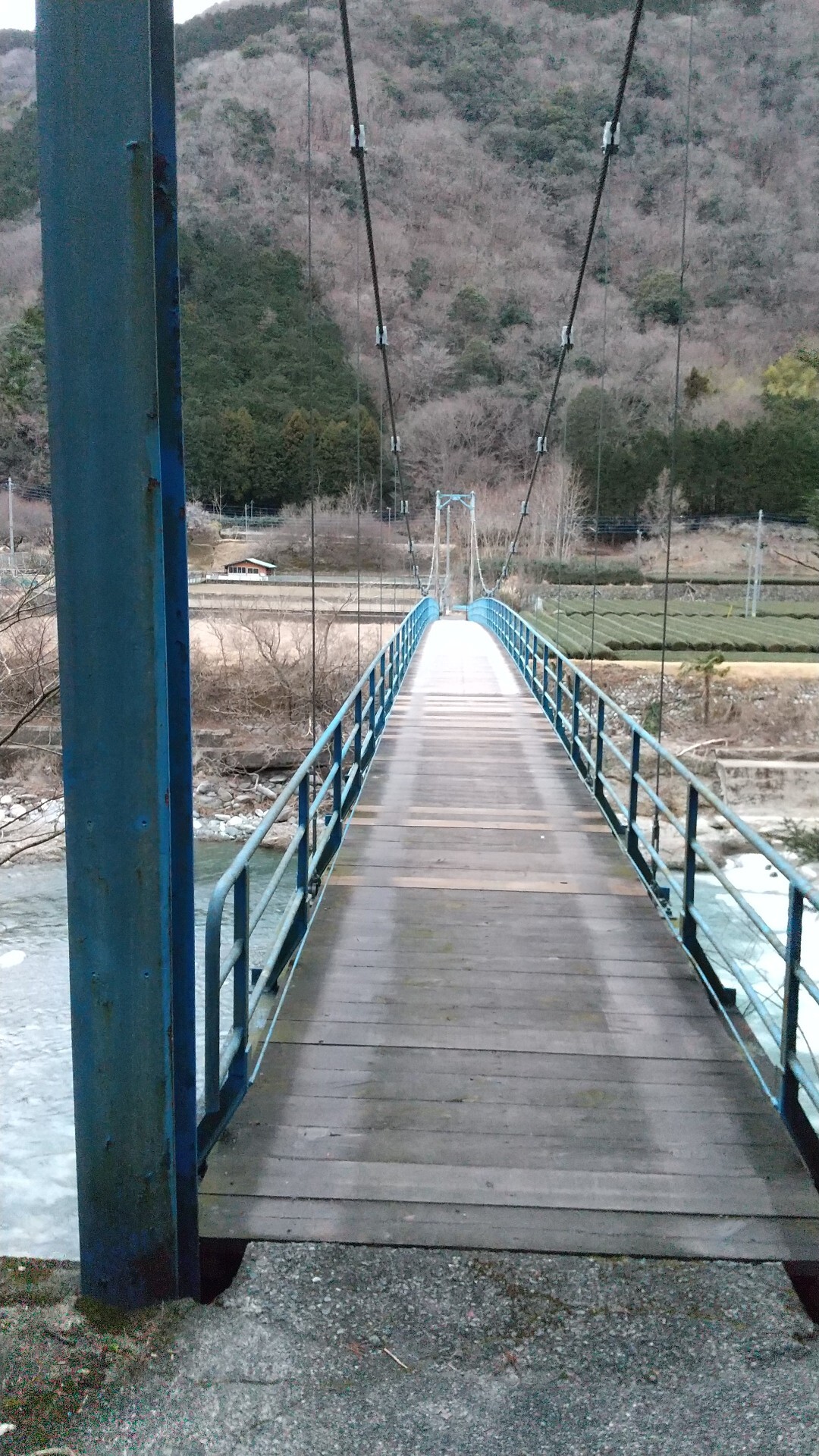 13.4km 山市場～不老山～駿河小山駅-2020-02-06 / tamiさんの三国山の活動データ | YAMAP / ヤマップ