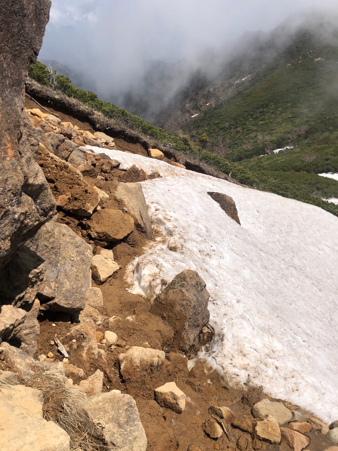 わさびさんの投稿したフィールドメモ | YAMAP / ヤマップ