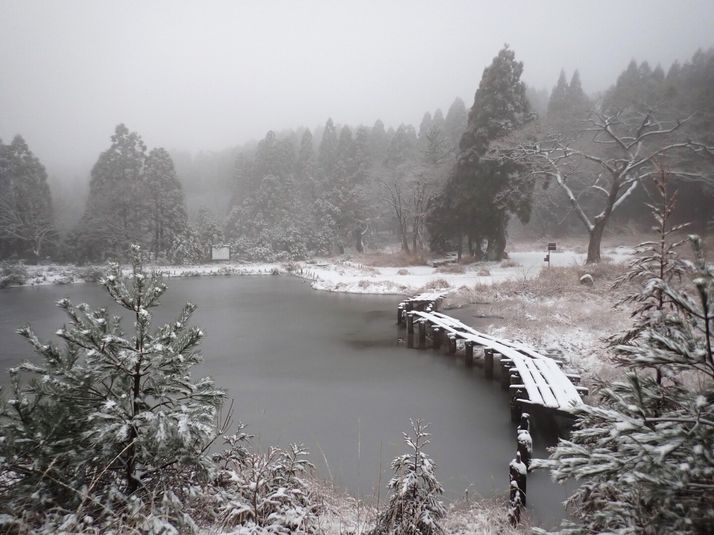 武奈ヶ岳（1月） / kol-hiraさんの比良山地・武奈ヶ岳・釈迦岳の活動データ | YAMAP / ヤマップ