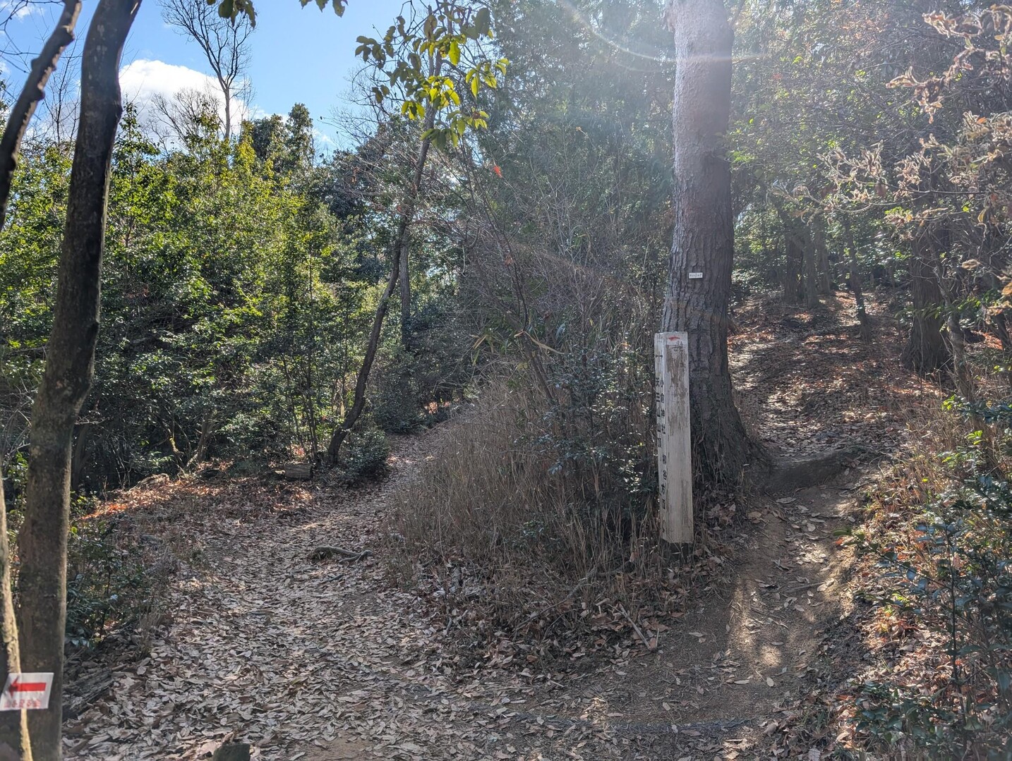 そがっちさんの投稿したフィールドメモ | YAMAP / ヤマップ