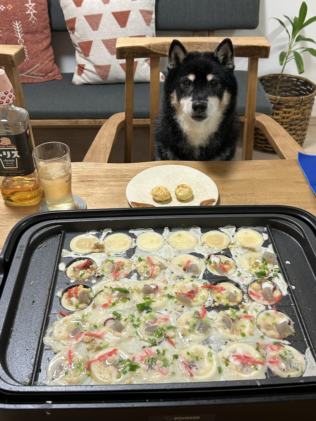 今夜はたこ焼き🐙 明日からクロ🐕と放... / クロさんのモーメント | YAMAP / ヤマップ