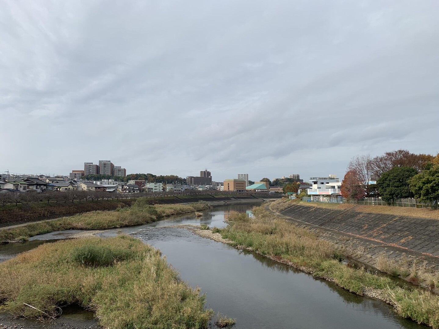 岡崎でブルー🛩️ 一瞬で終わった😅 / gussanさんの岡崎市の活動データ | YAMAP / ヤマップ