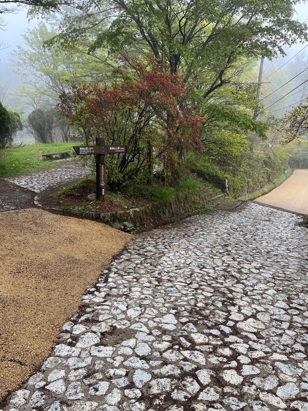 きもさんの投稿したフィールドメモ | YAMAP / ヤマップ