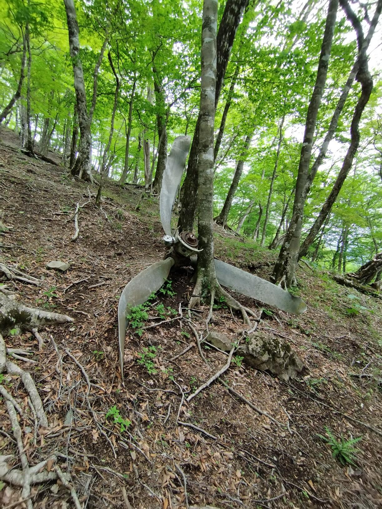 丹沢山 / horitakaさんの塔ノ岳・丹沢山・蛭ヶ岳の活動データ | YAMAP / ヤマップ
