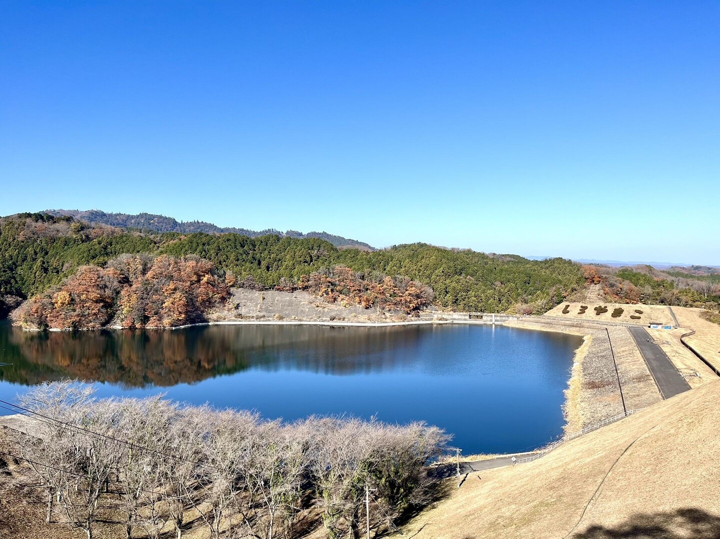 牡龍籠山・草戸山 / maaさんの高尾山・陣馬山・景信山の活動データ | YAMAP / ヤマップ