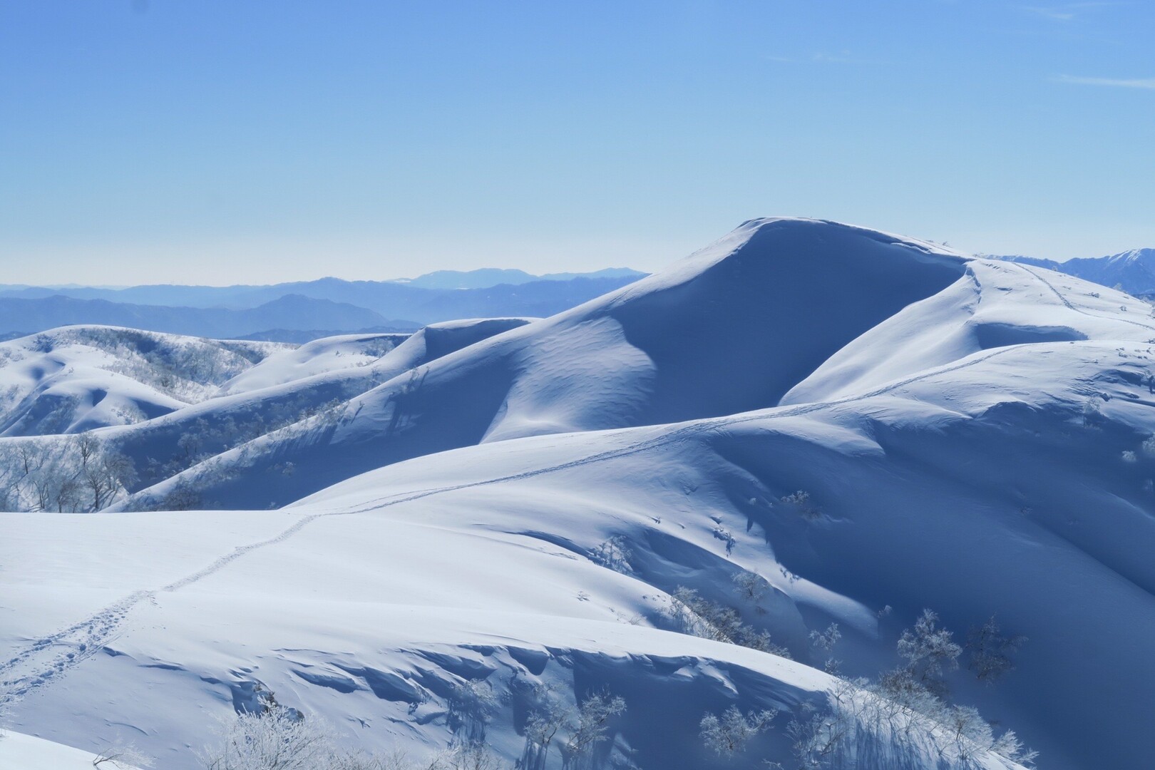 快晴だった雪の金剛堂山 / mh_trskさんの金剛堂山の活動日記 | YAMAP / ヤマップ