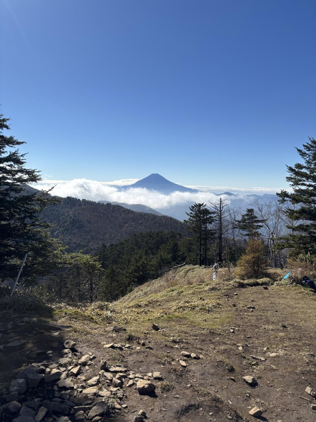 甲州アルプスオートルートチャレンジ(DNF) / tomoynwaさんの甲州高尾山・宮宕山・源次郎岳の活動データ | YAMAP / ヤマップ