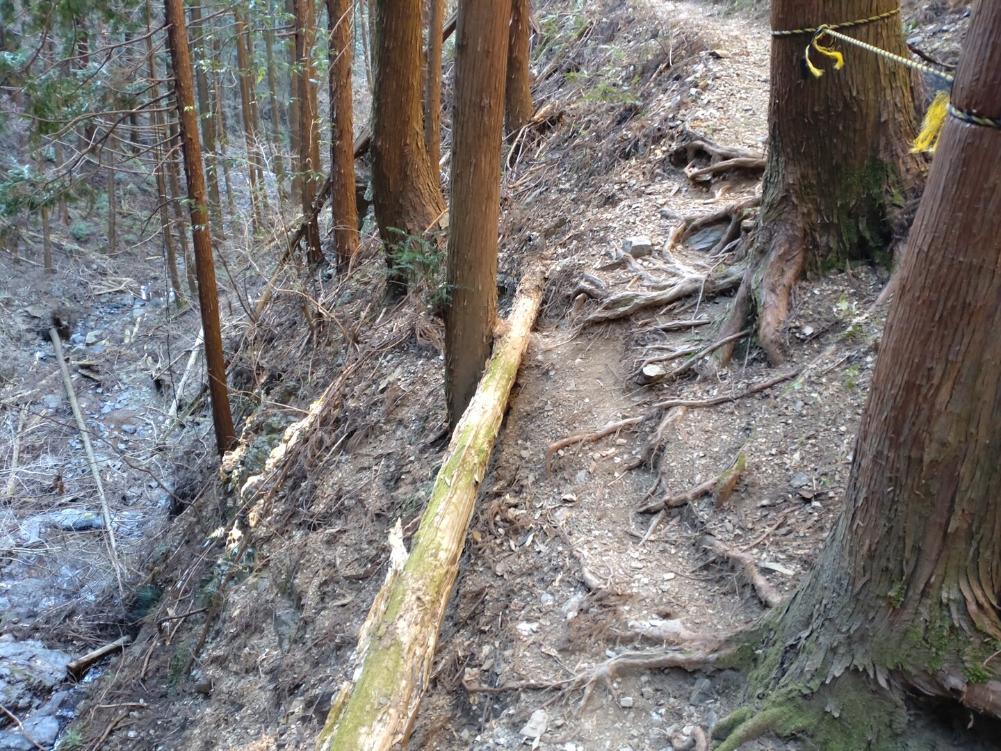 moneさんの投稿したフィールドメモ | YAMAP / ヤマップ