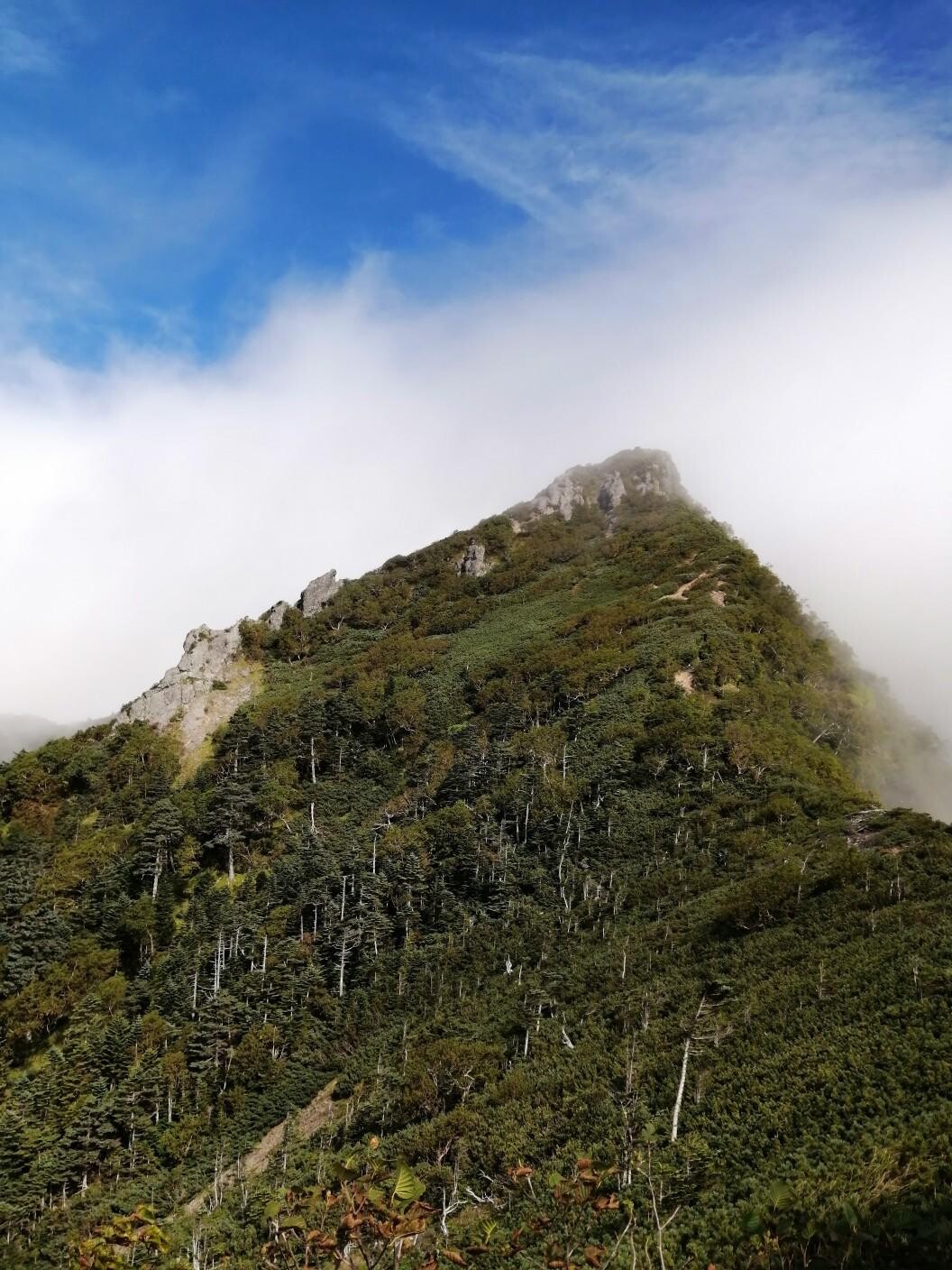 権現岳 / bob syuu さんの八ヶ岳（赤岳・硫黄岳・天狗岳）の活動データ | YAMAP / ヤマップ