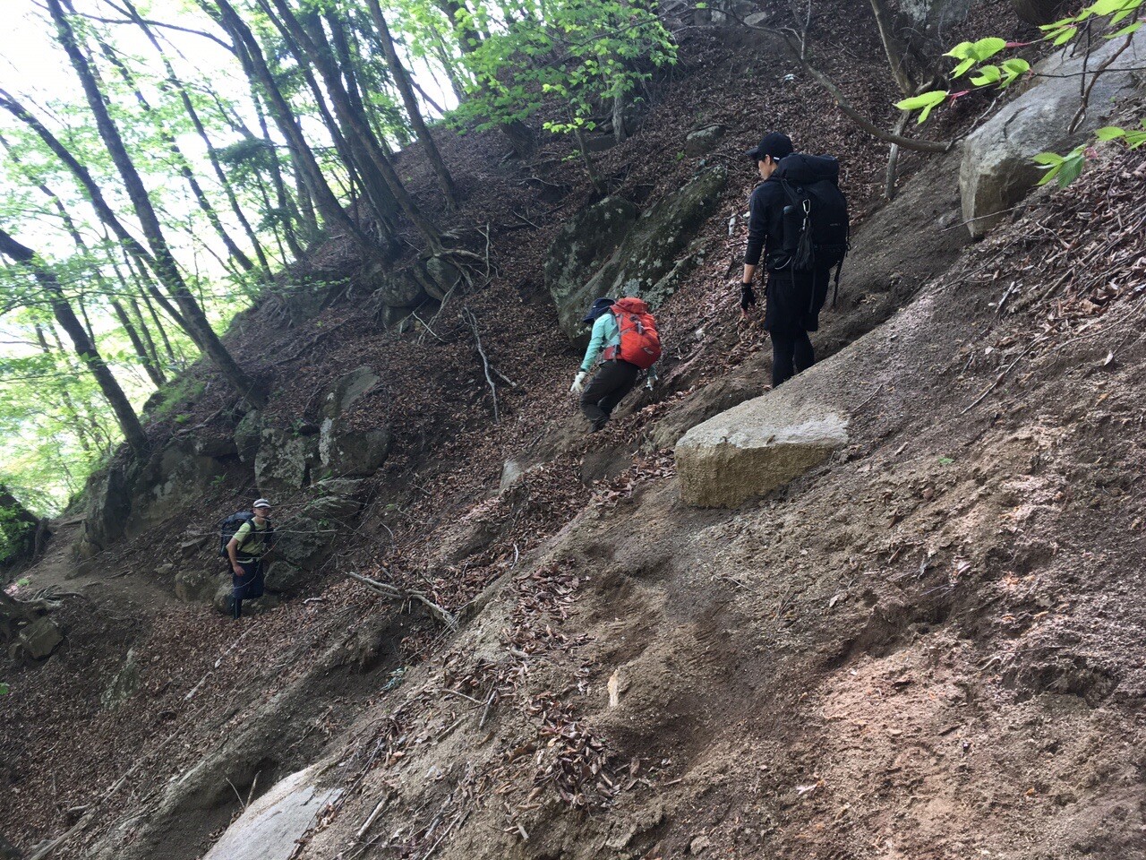 yuccoさんの投稿したフィールドメモ | YAMAP / ヤマップ