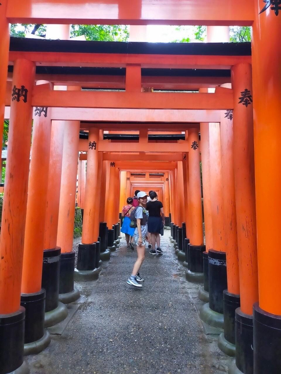 京都トレイル🎂（東山コース途中まで） / Asukaさんの京都一周トレイルの活動データ | YAMAP / ヤマップ