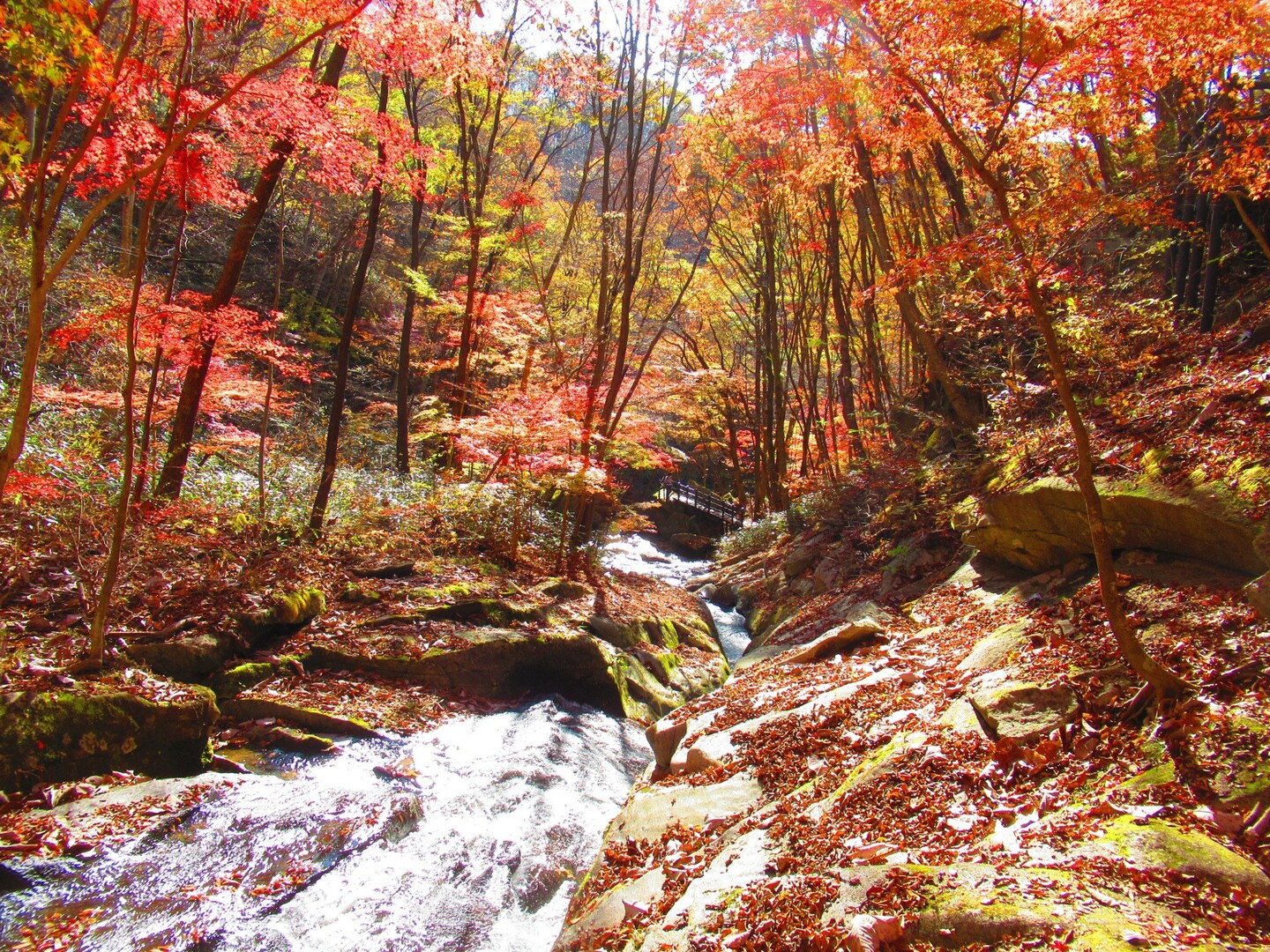 滝川渓谷 / y_kumataさんの滝川渓谷の活動データ | YAMAP / ヤマップ