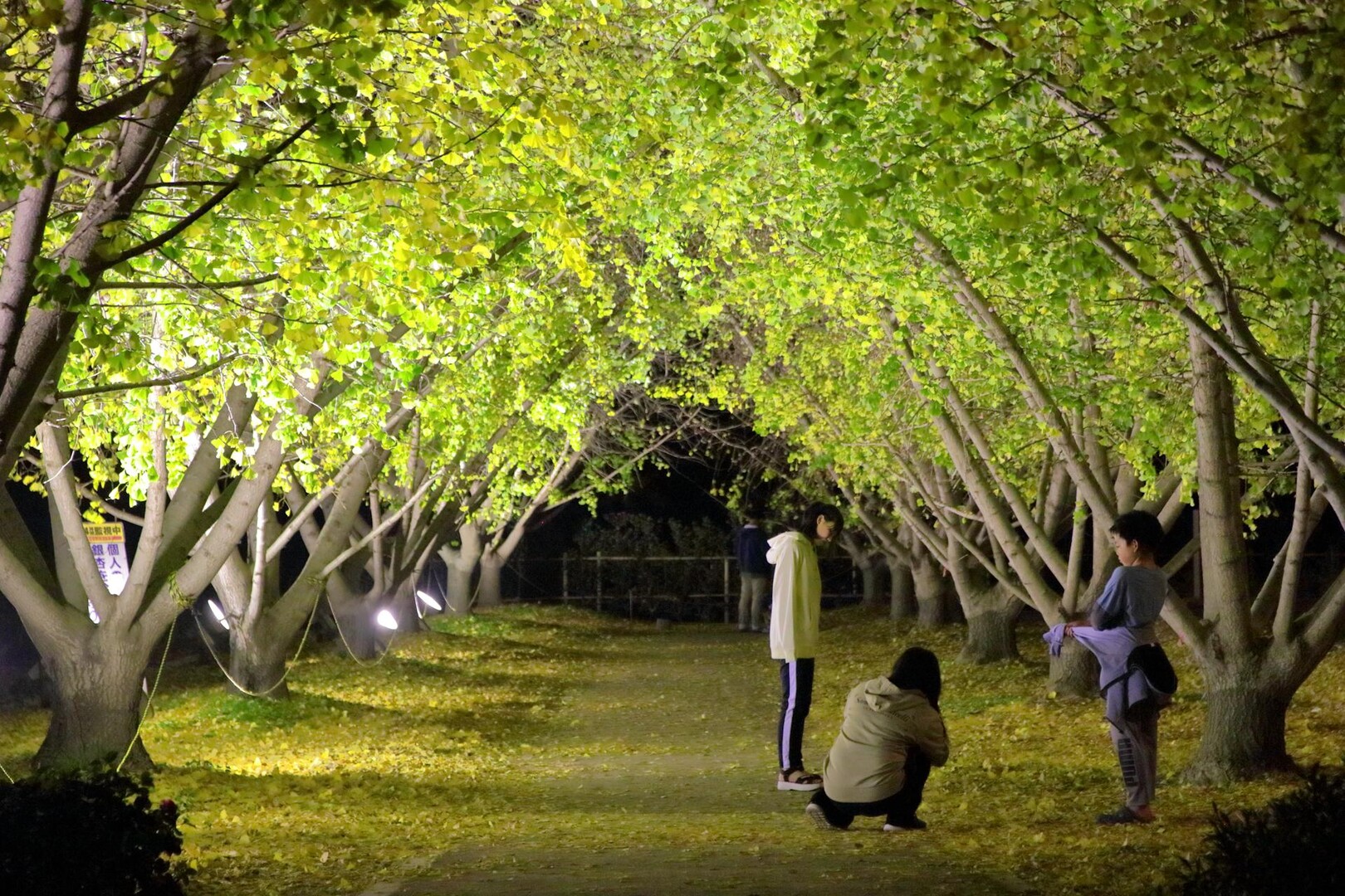 美濃・尾張めぐり 1日目（美濃加茂・祖父江・一宮） / bysunさんの観光の活動データ | YAMAP / ヤマップ