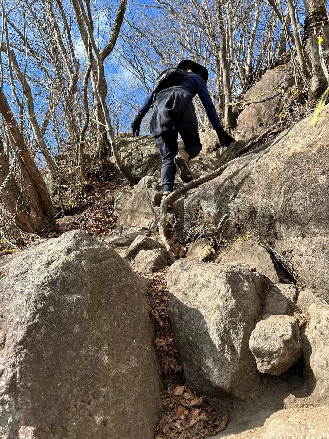 saoriのページ | YAMAP / ヤマップ