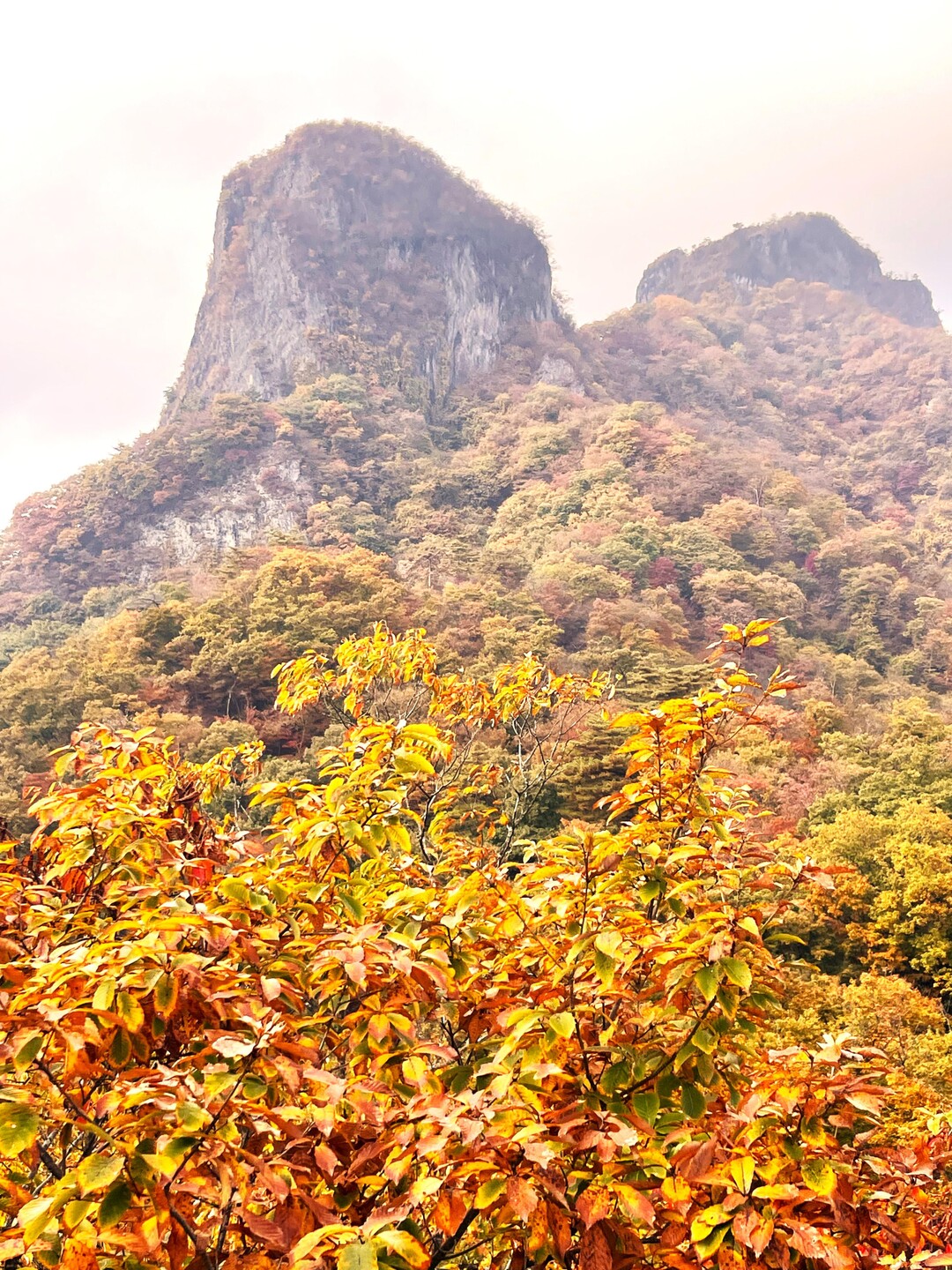 四ッ又山・鹿岳(一ノ岳)・鹿岳（二ノ岳） / SORAさんの鹿岳・黒滝山の活動データ | YAMAP / ヤマップ