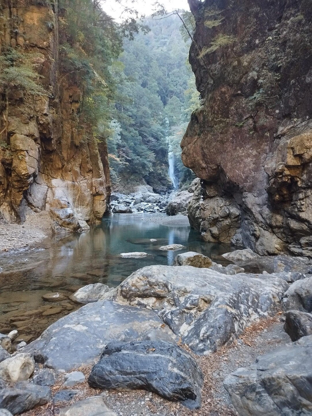 大杉谷〜大台ヶ原山（日出ヶ岳） / horitakaさんの大台ヶ原山・日出ヶ岳・大杉谷の活動データ | YAMAP / ヤマップ