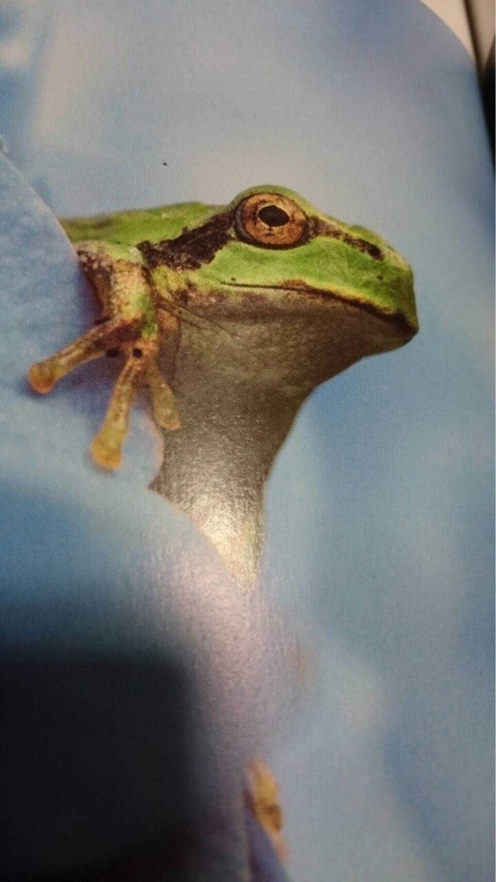 2022.06.16(木) 08:20 / ゆうちゃんさんのモーメント | YAMAP / ヤマップ