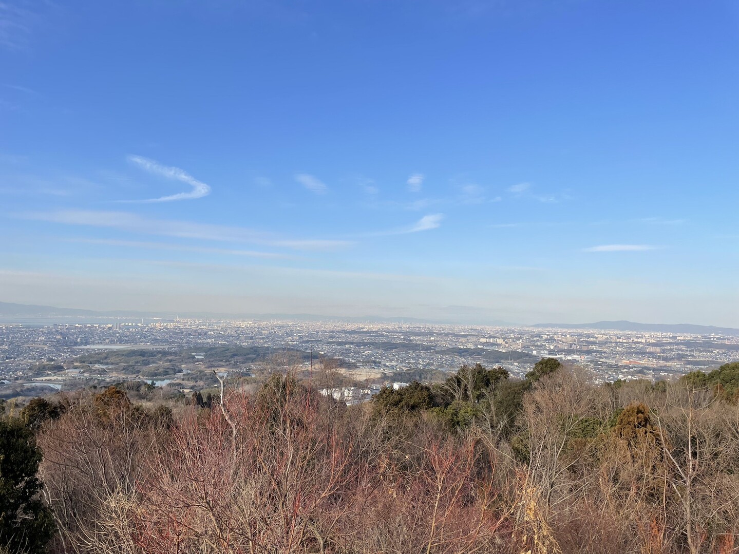 神於山お散歩。 山頂展望台から今日は素晴... / RIKU🐕‍🦺 &Jun さんのモーメント | YAMAP / ヤマップ