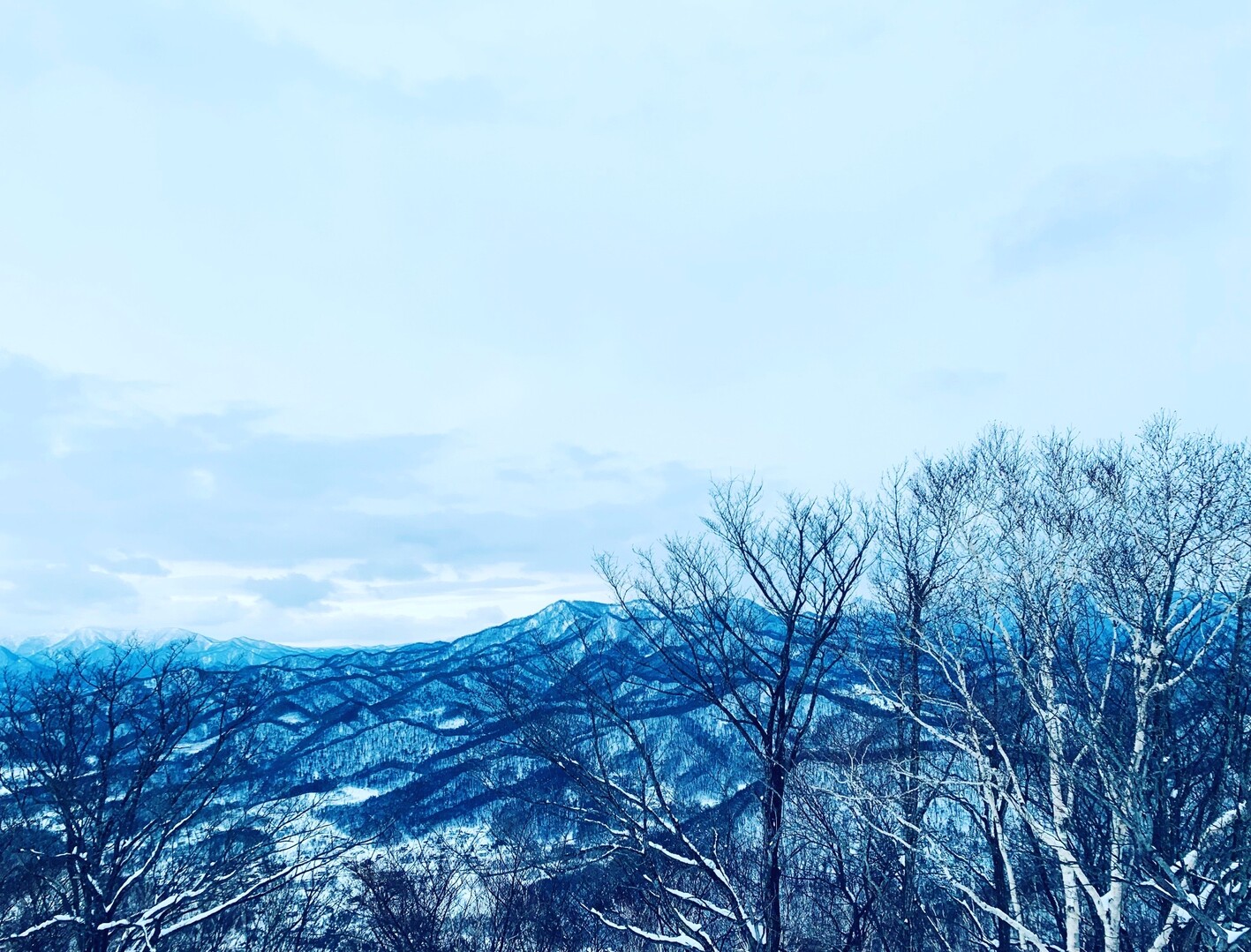 重い腰を上げ、やっとこさ雪山デビューしま... / Tomyさんのモーメント | YAMAP / ヤマップ