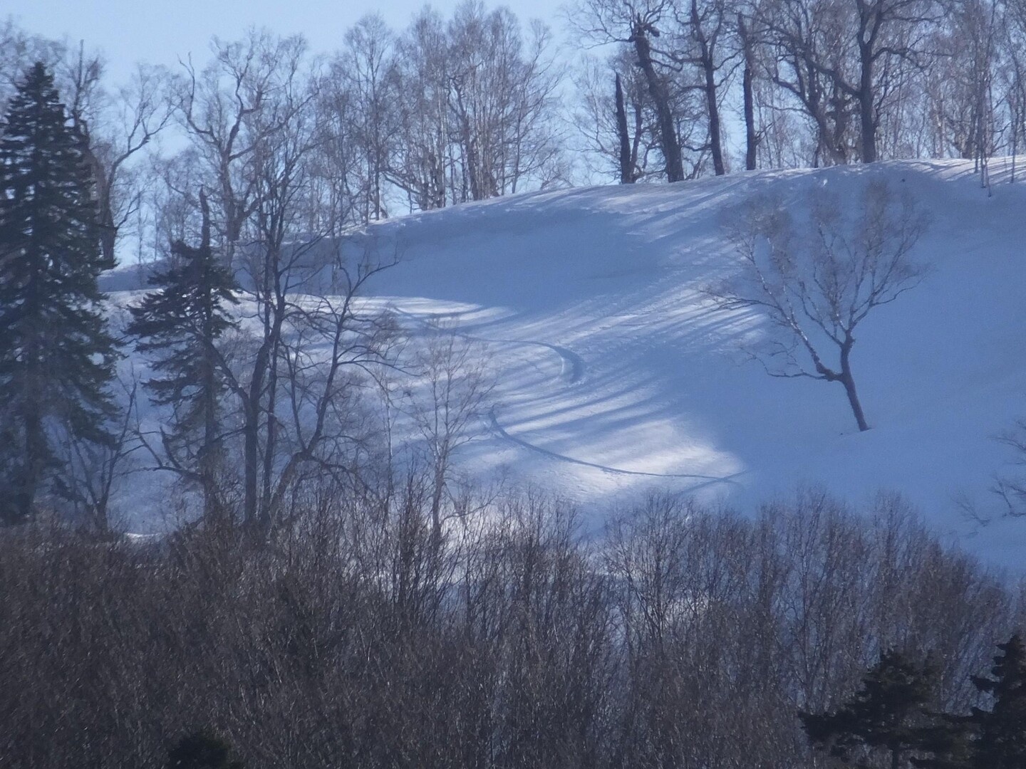 行きたかった・滑りたかった庚申草山BC / TARIさんの無意根山の活動データ | YAMAP / ヤマップ