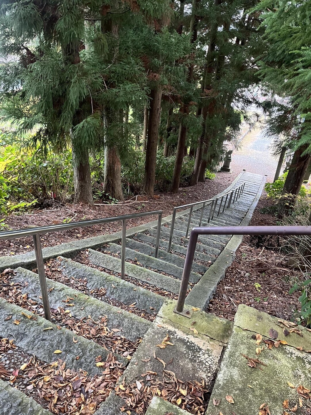 熊野森 / sue sannさんの南昌山・東根山・箱ヶ森の活動データ | YAMAP / ヤマップ