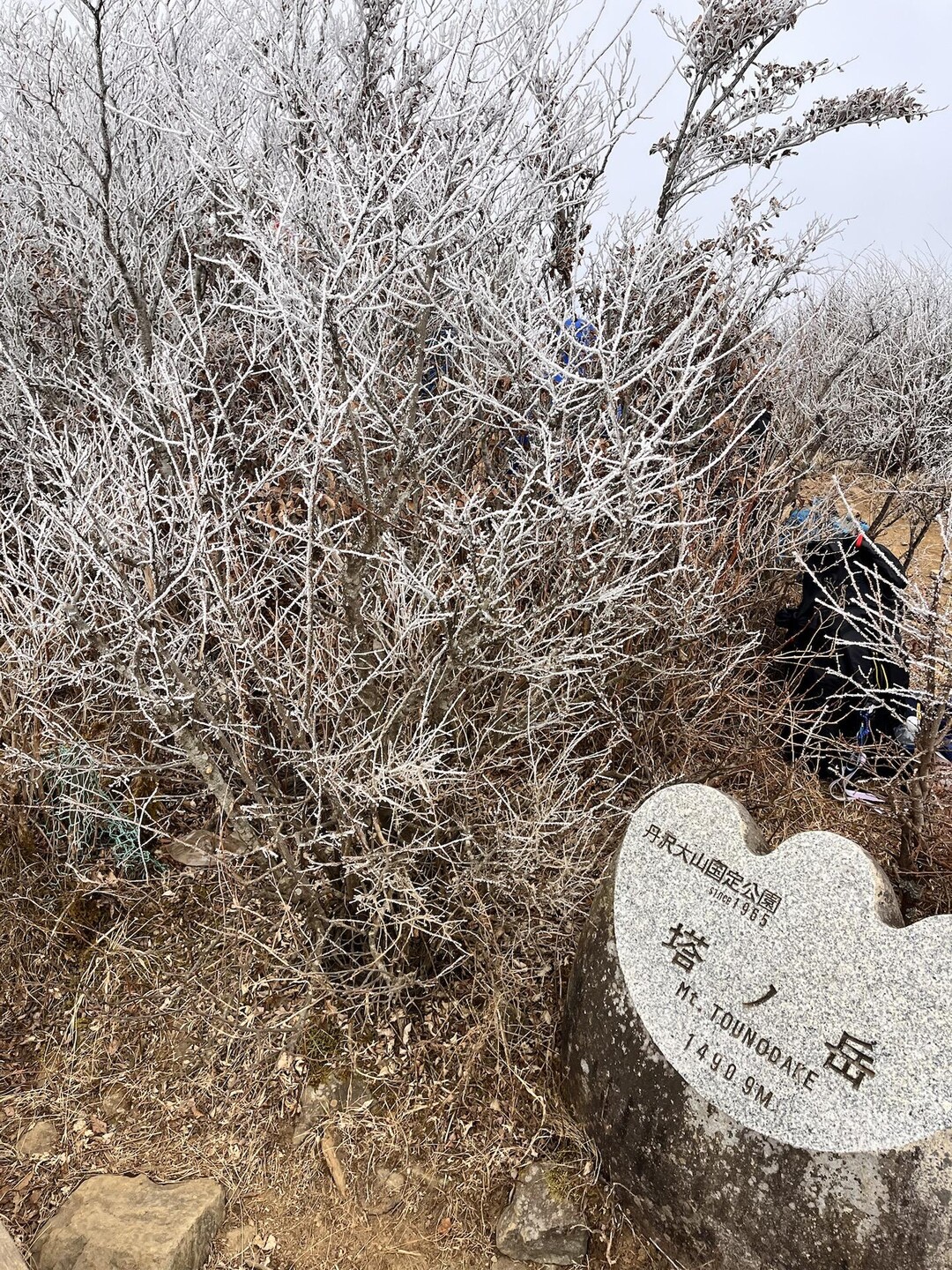 政次郎ノ頭・新大日・木ノ又大日・塔ノ岳 / J Osawaさんの塔ノ岳・丹沢山・蛭ヶ岳の活動日記 | YAMAP / ヤマップ
