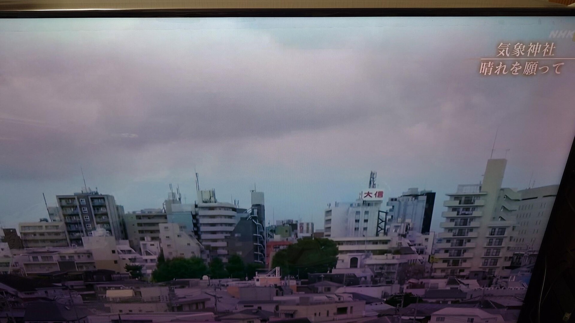 NHKの72hで、気象神社やってますね。... / gracefulgreenwindsさんのモーメント | YAMAP / ヤマップ