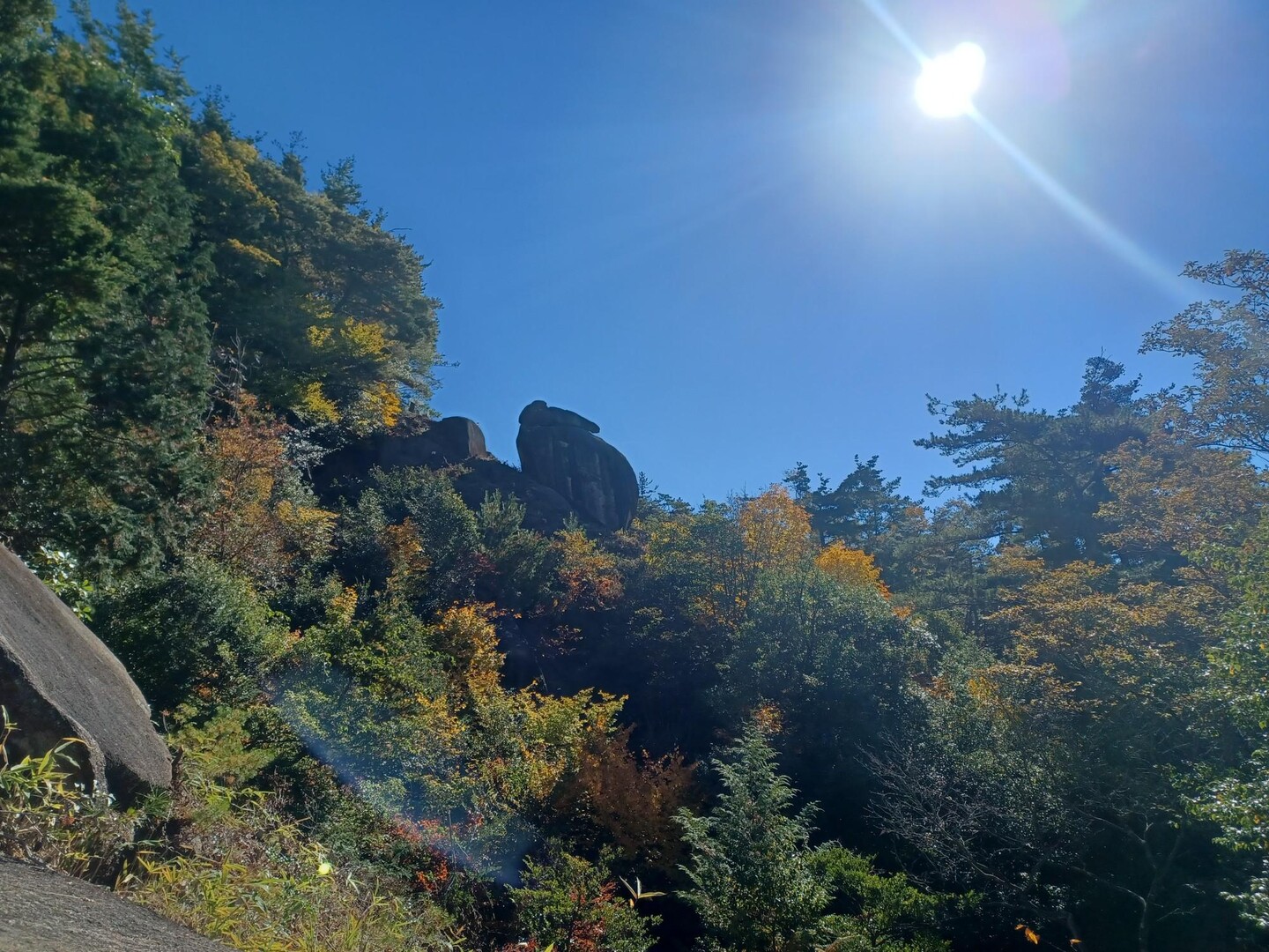 義呂利松・うさぎ岩・天狗岩(八王子神社より) / みささんの義呂利松・うさぎ岩・天狗岩の活動データ | YAMAP / ヤマップ