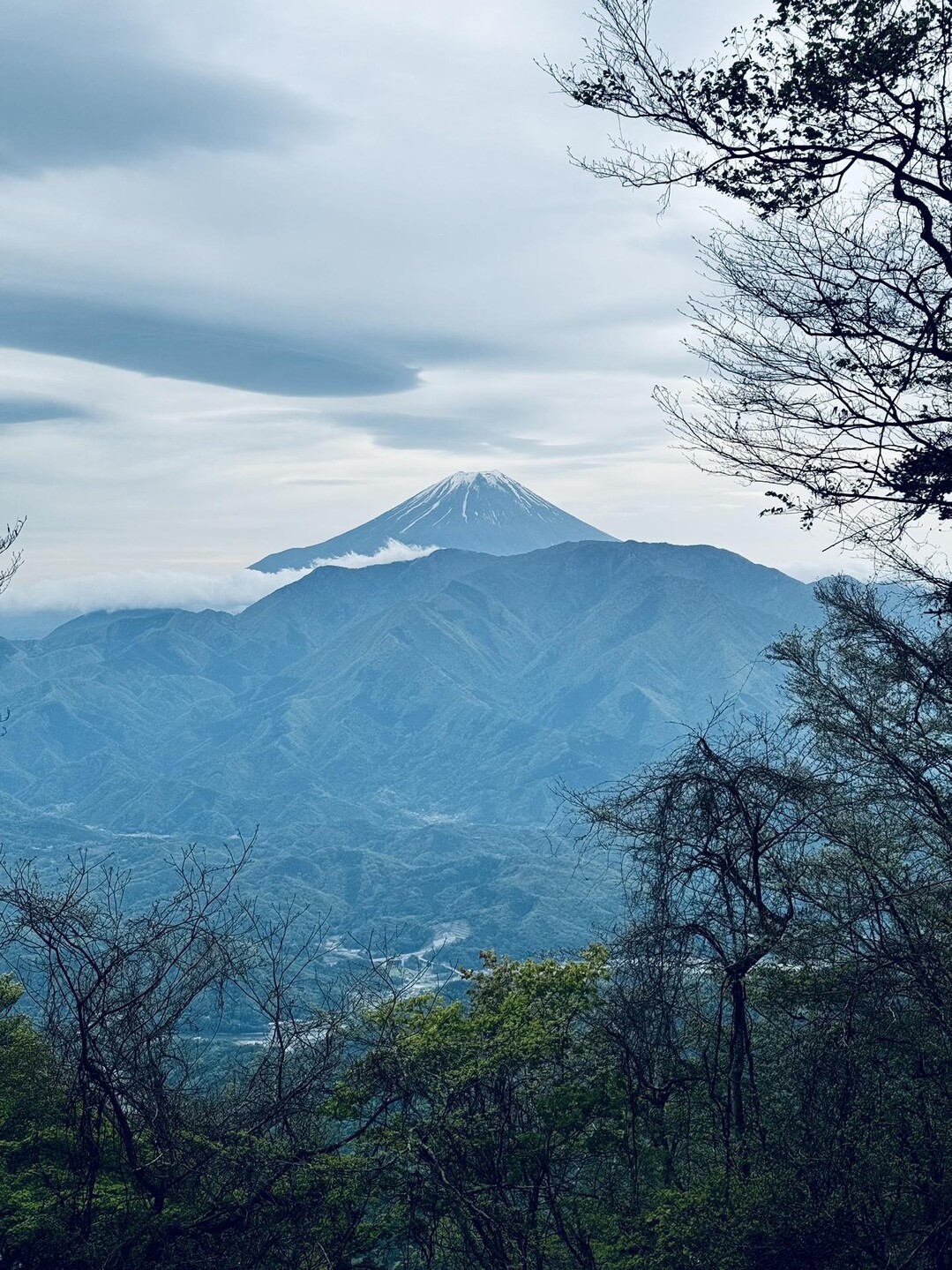 【山梨百名山】富士見山 / amuさんの富士見山・御殿山の活動データ | YAMAP / ヤマップ