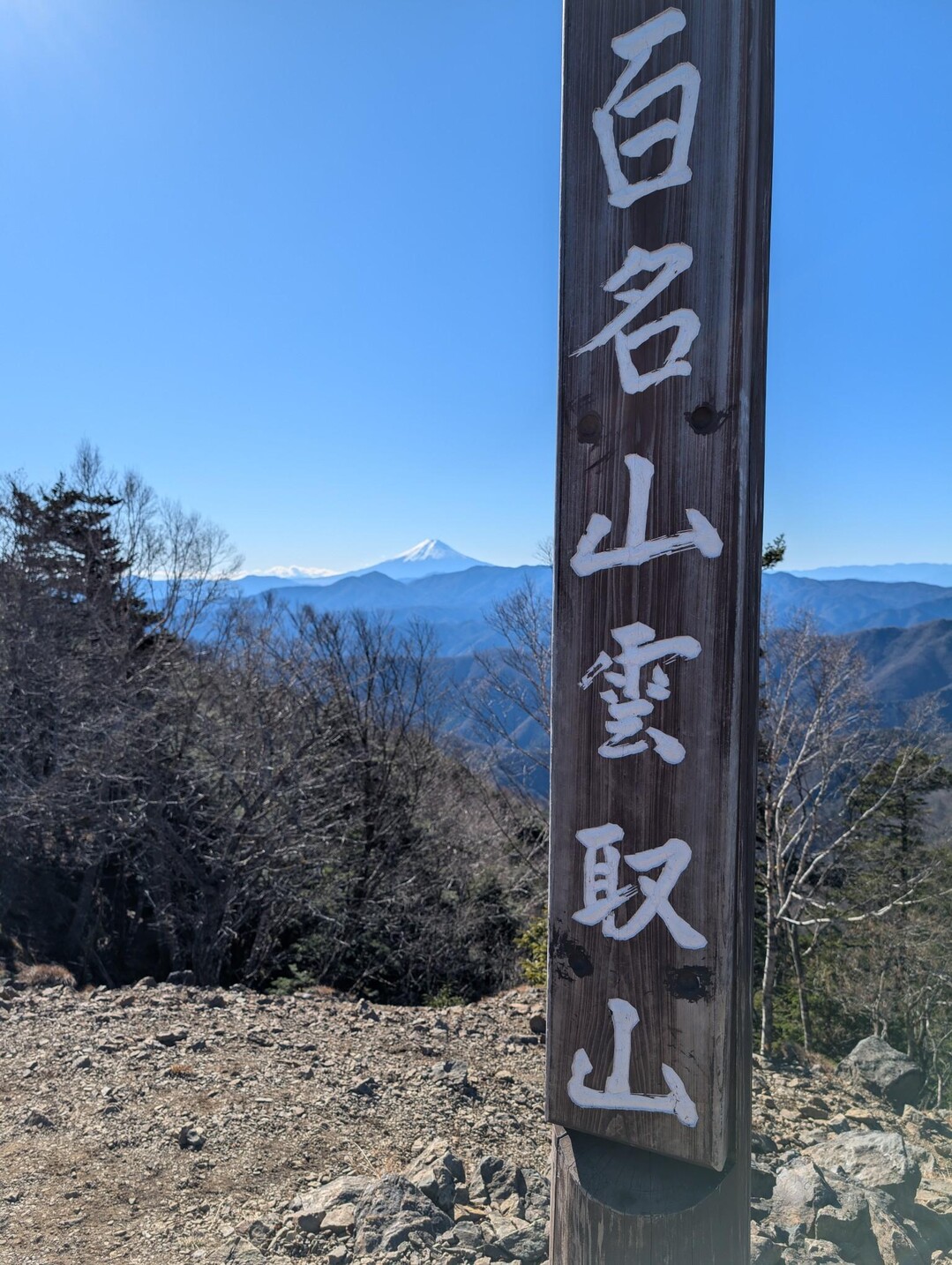 雲取山の三峰√日帰り+妙法ヶ岳。 / noraさんの雲取山・鷹ノ巣山・七ツ石山の活動データ | YAMAP / ヤマップ