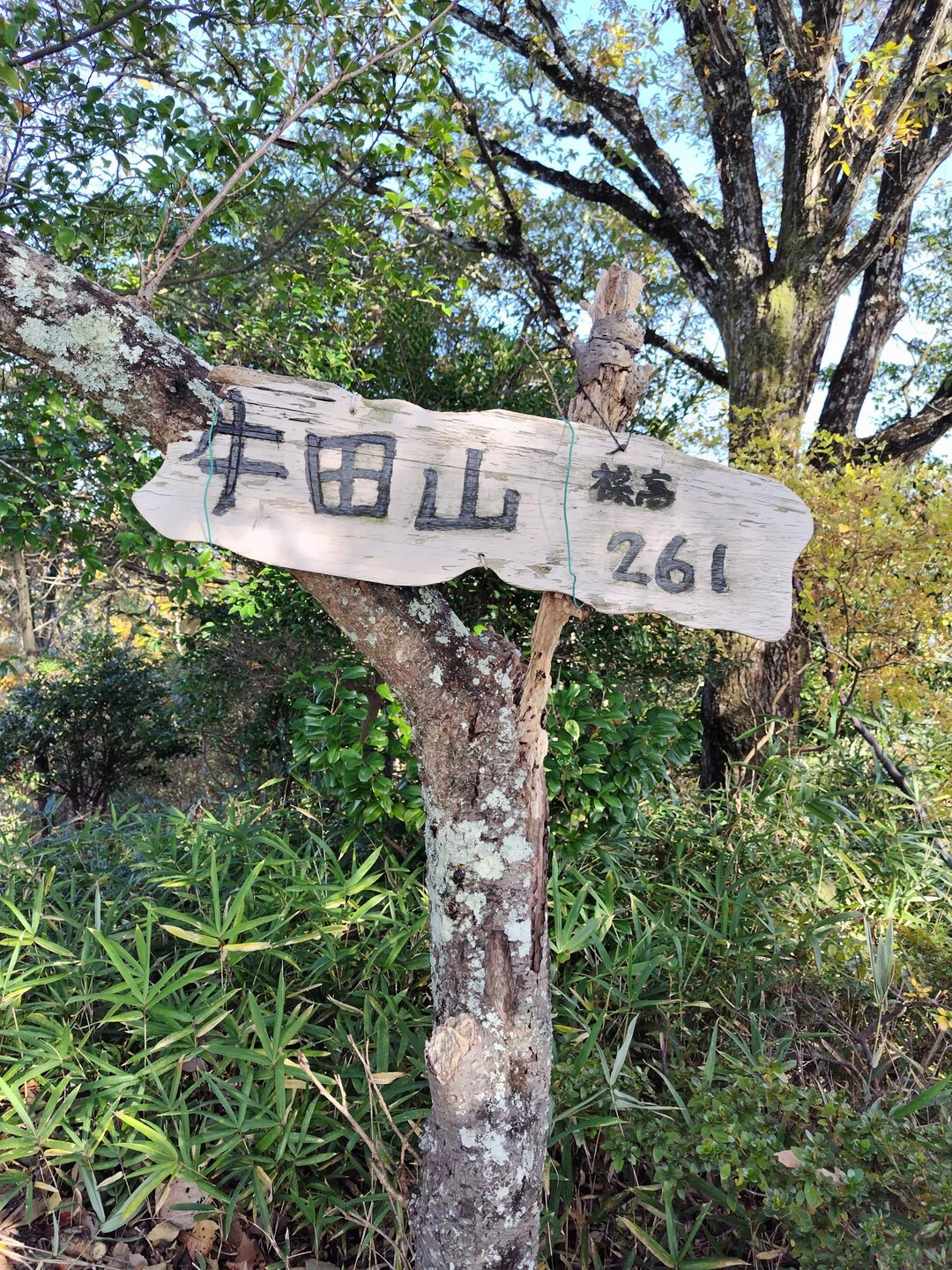 牛田山 / satoちゃん💕さんの牛田山・尾長山・二葉山の活動データ | YAMAP / ヤマップ